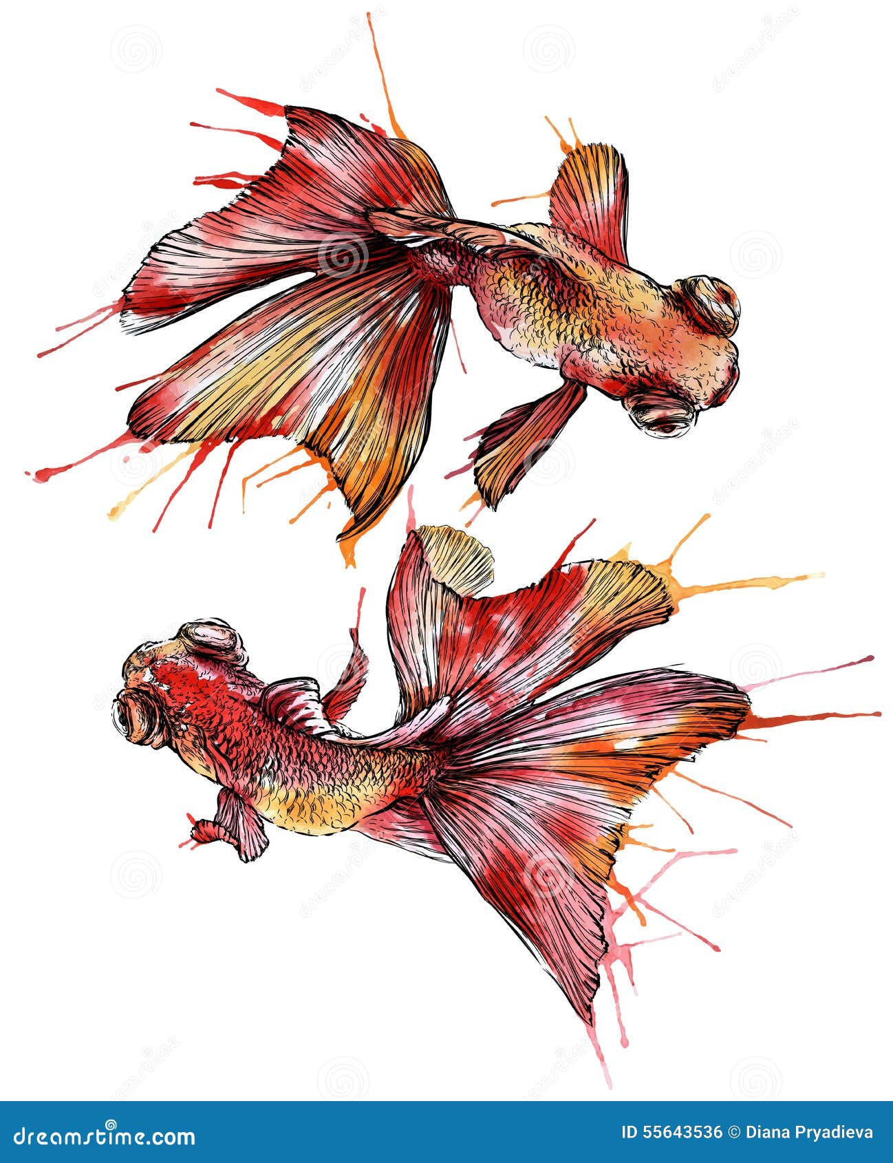 Illustration D'aquarelle De Poisson Rouge Illustration Stock ...