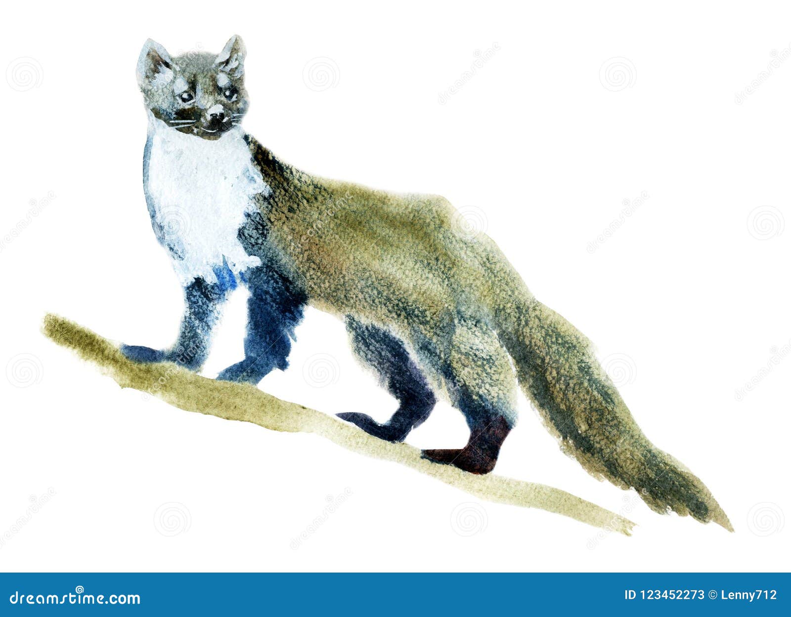 Illustration D'aquarelle D'un Furet Illustration Stock - Illustration ...
