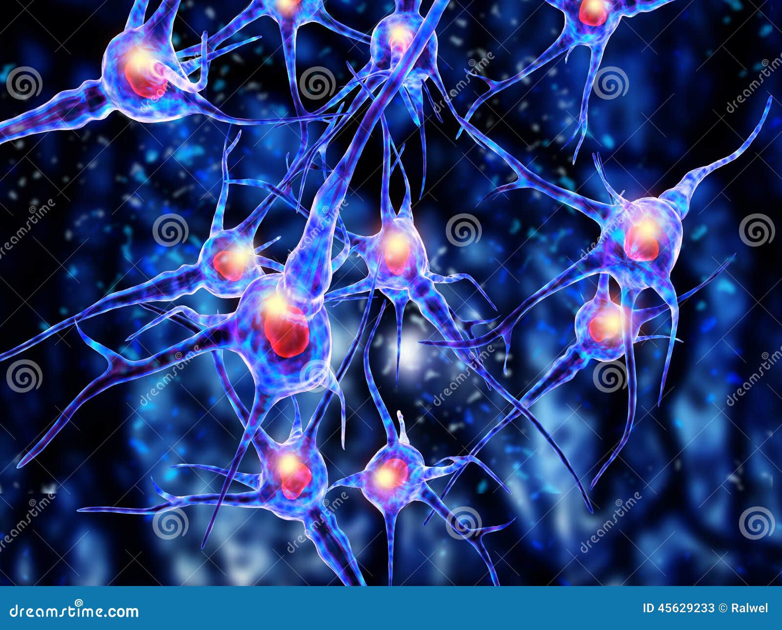 Illustration 3d Av En Nervcell Stock Illustrationer - Illustration av ...