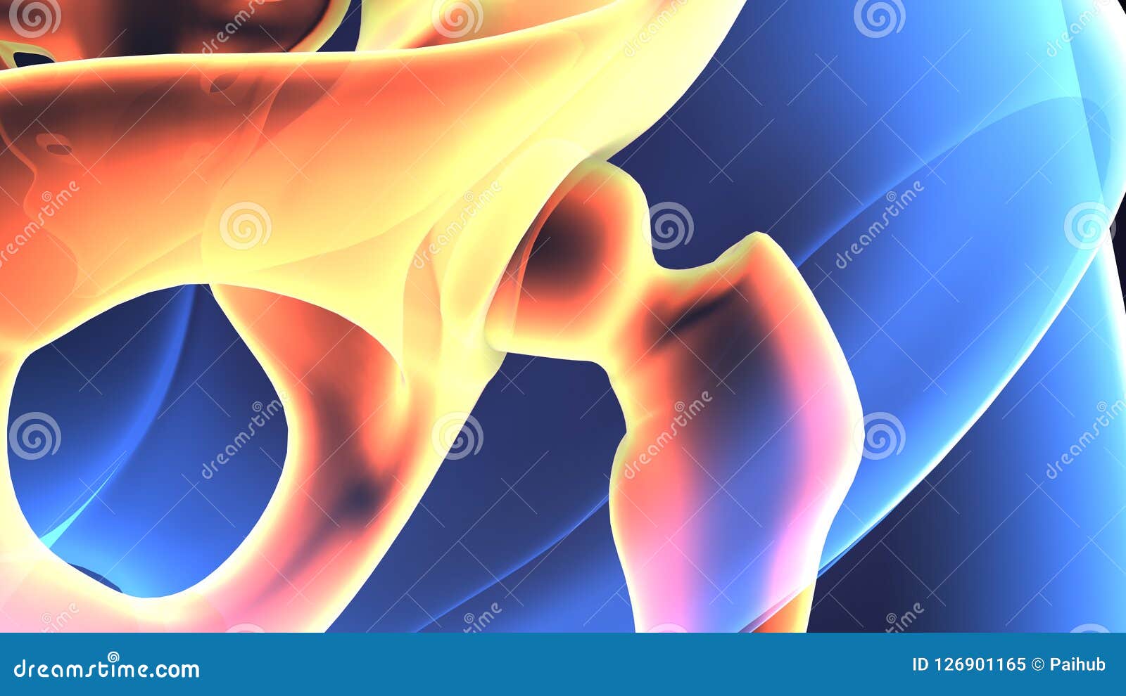 Illustration 3D De L'anatomie D'os De Hanche De Diagramme D'os De ...