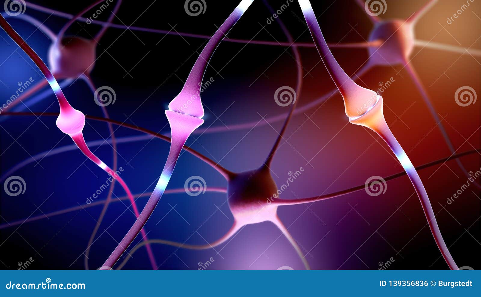 Illustration 3d Eines Synapsenteils Einer Neuron- Oder Nervenzellzelle ...
