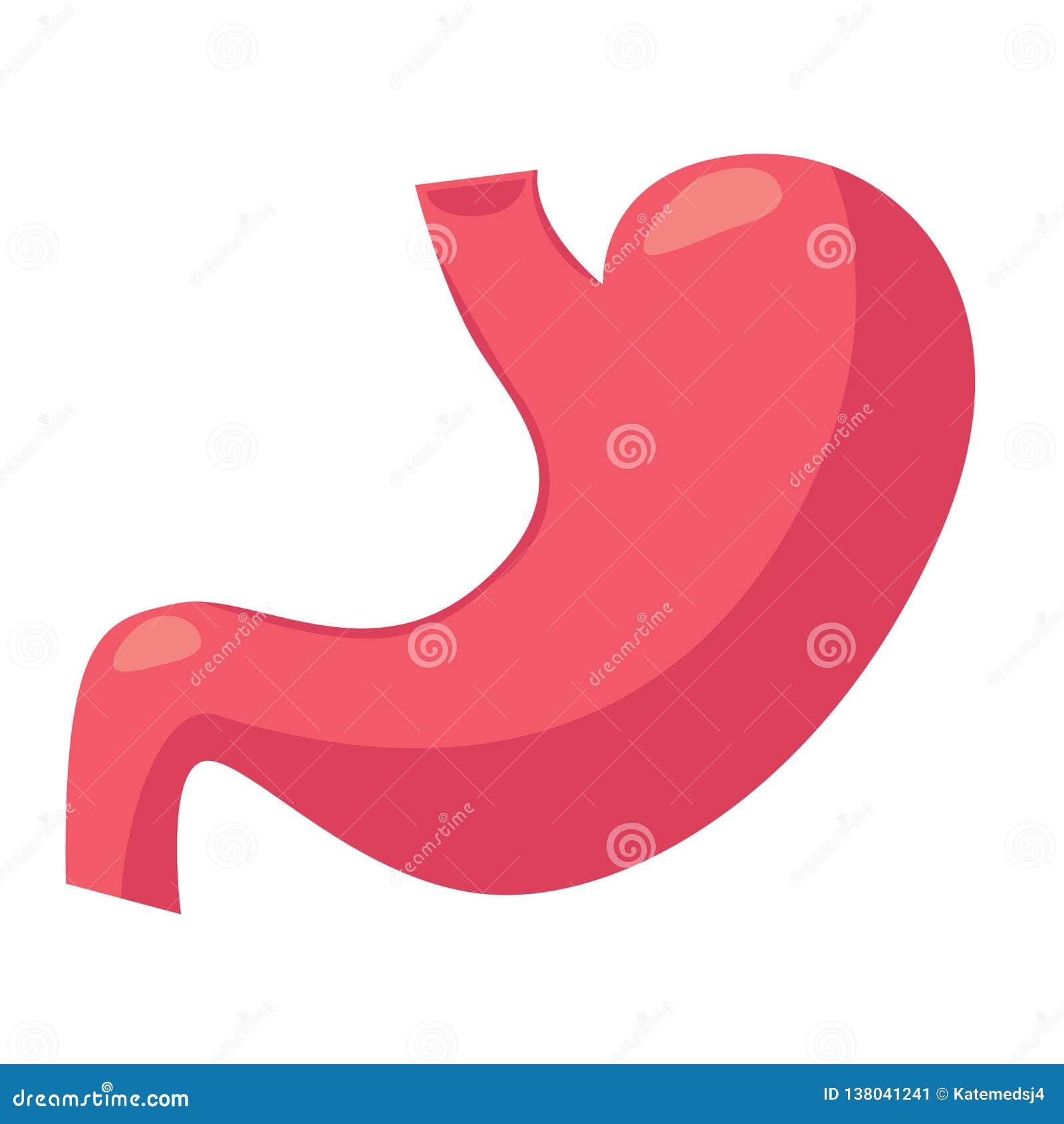 Illustration D'estomac Dessin D'estomac Illustration Stock ...