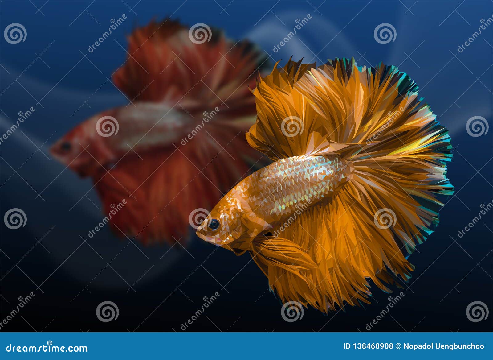 Polygon Drawing of Siamese Fighting Fish Stock Illustration ...