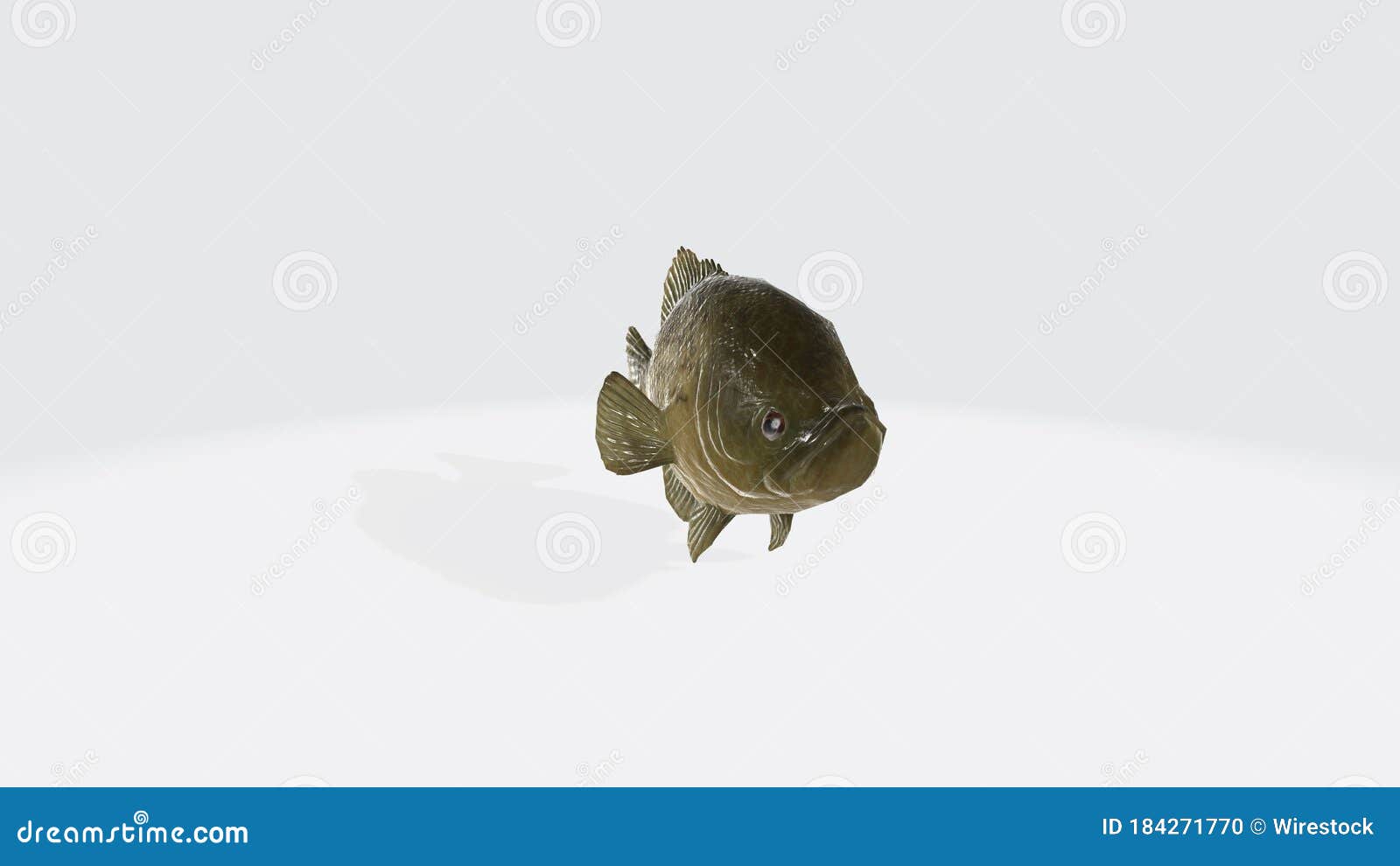 Illustration of a 3D Rendering of a Fish on a White Background Stock ...