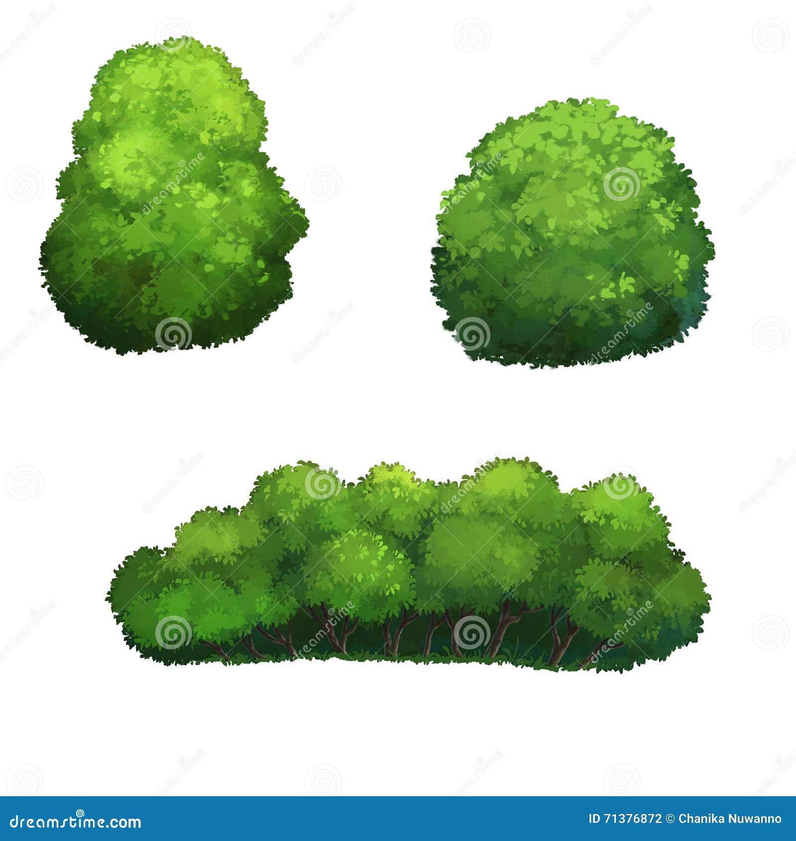 Illustration d'un buisson illustration stock. Illustration du jardin ...