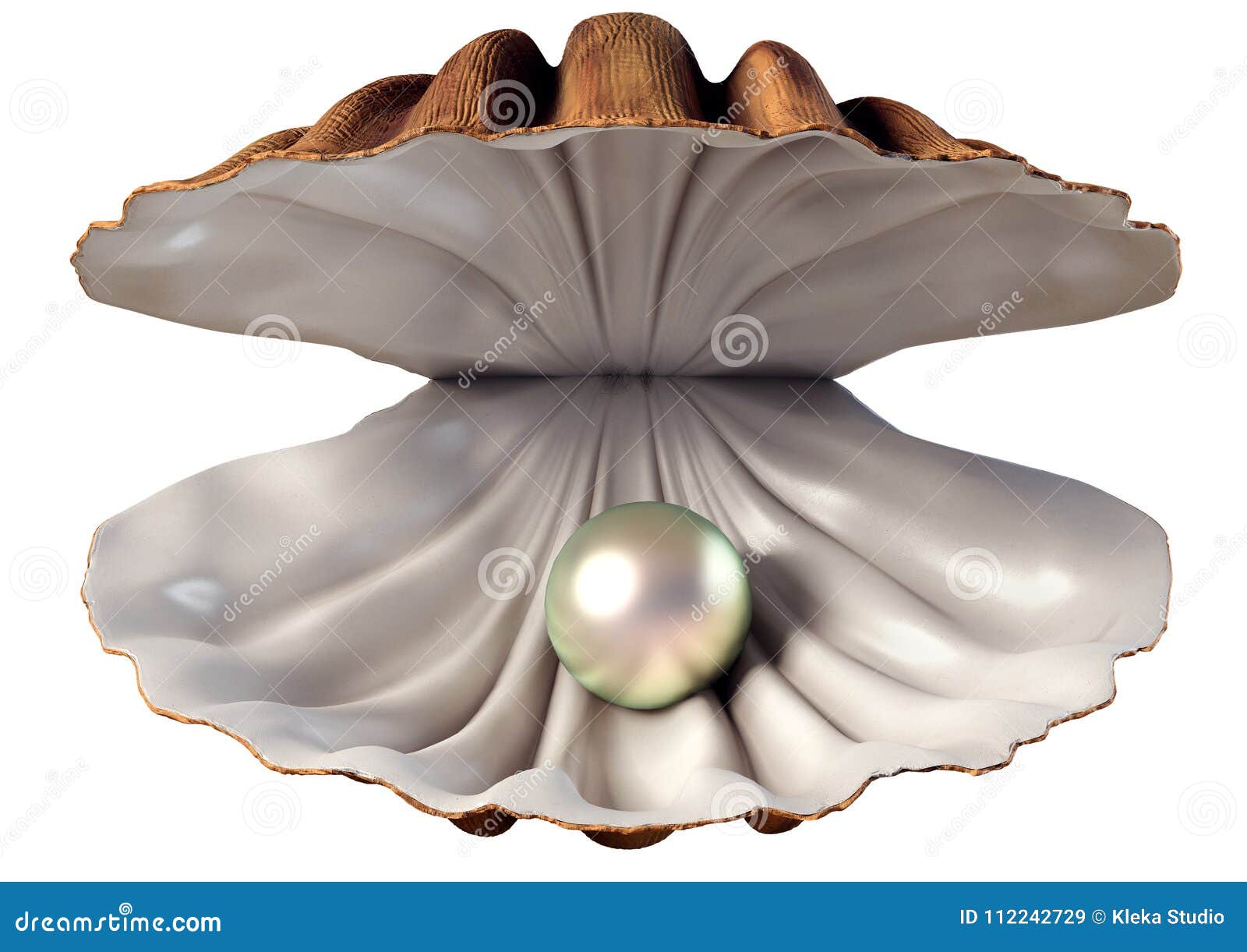 Illustration 3d D'un Coquillage Avec La Perle Illustration Stock ...