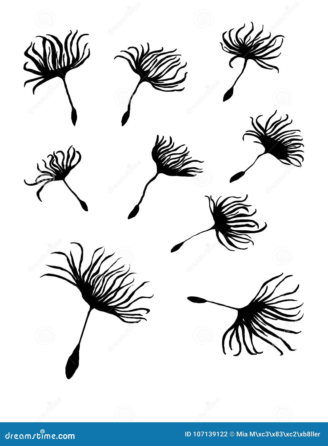 Dandelions Seeds stock illustration. Illustration of dandelion - 107139122