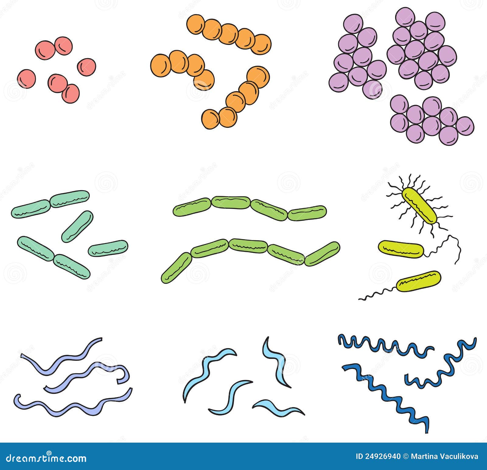 Illustration De Beaucoup De Types De Bactéries Photo stock - Image ...