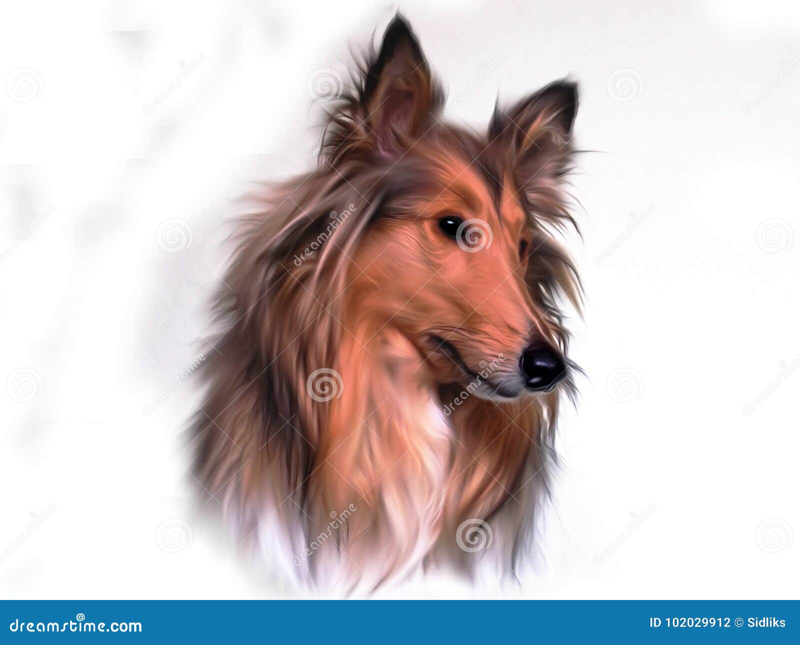 Illustration De Chien De Colley Illustration Stock - Illustration du ...