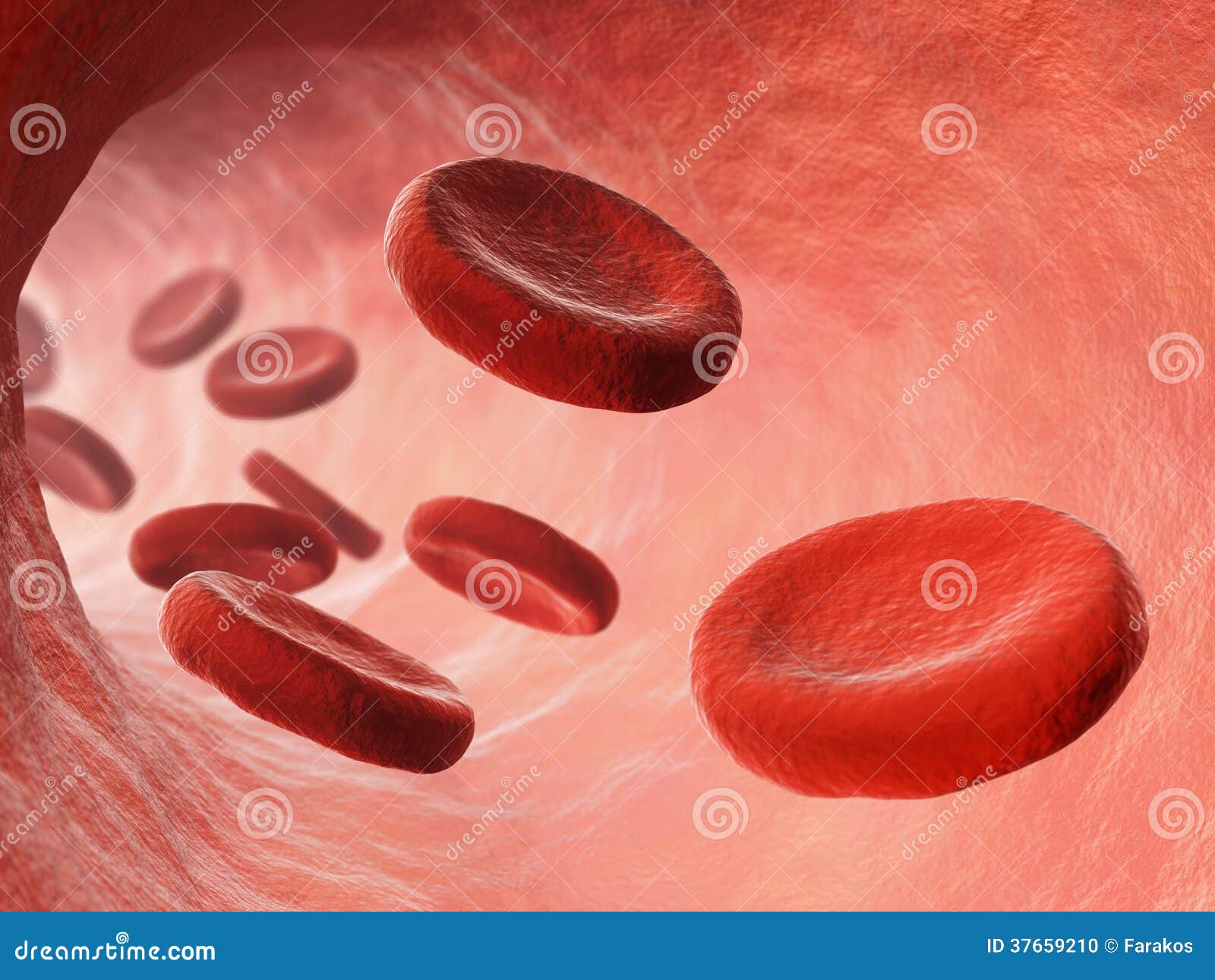 Illustration De Circulation Sanguine Illustration Stock - Illustration ...