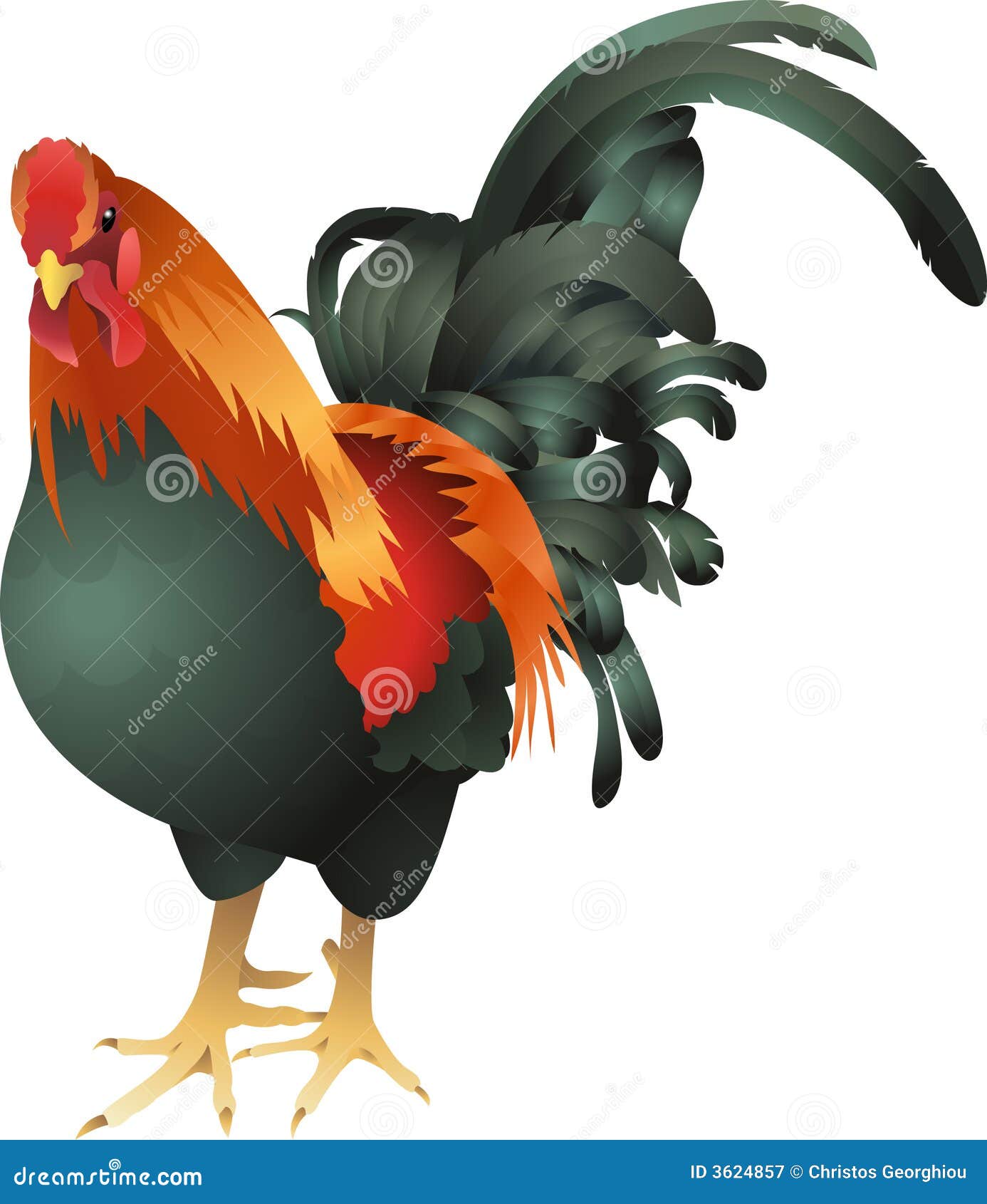 Illustration de coq illustration de vecteur. Illustration du plumeux ...