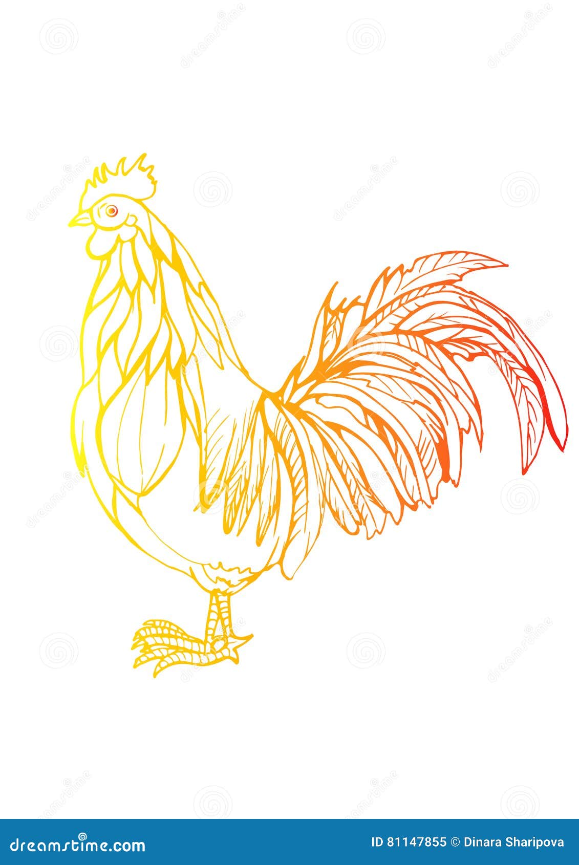 Illustration de coq illustration stock. Illustration du poule - 81147855
