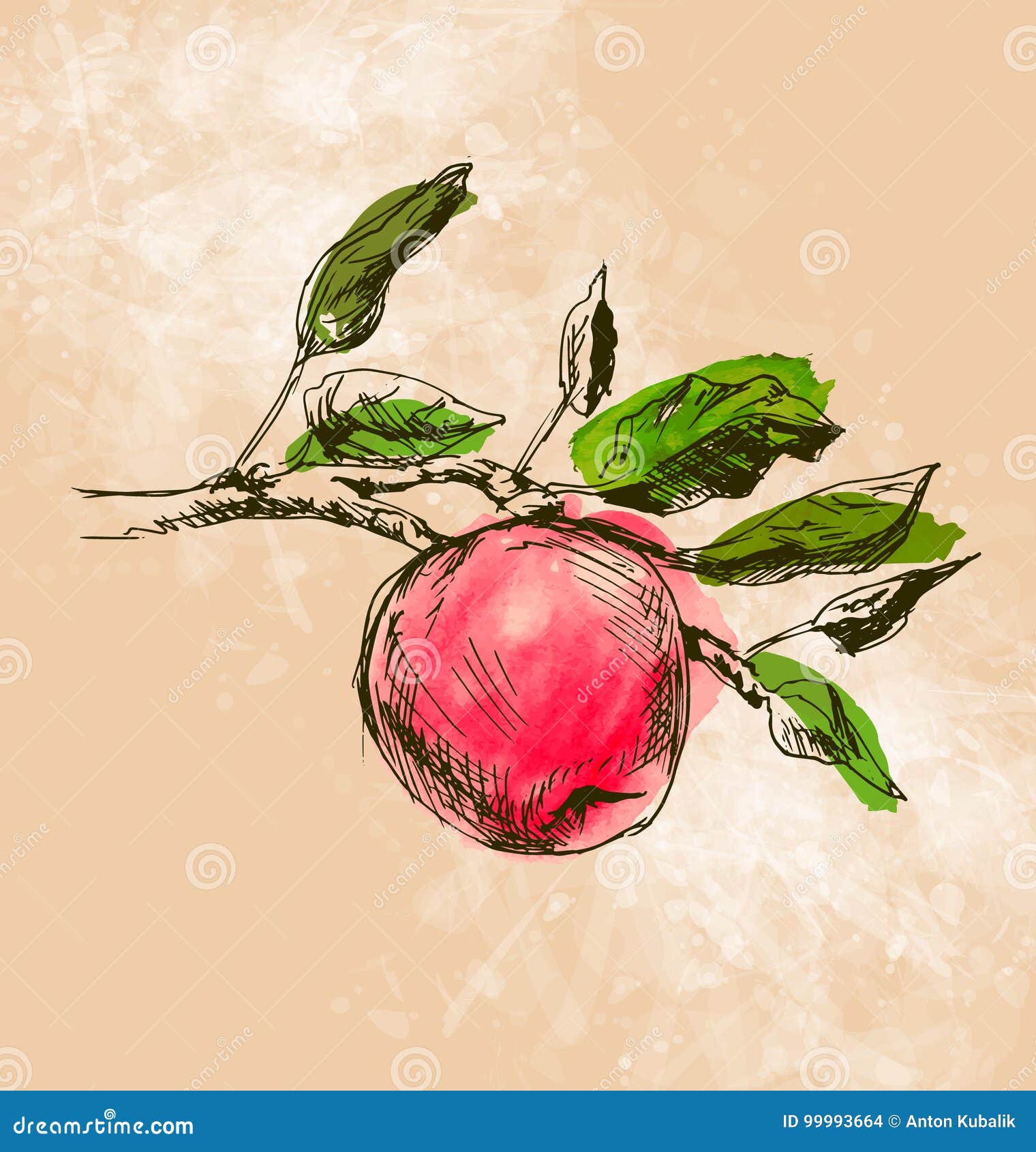 Illustration De Couleur D'une Pomme Illustration de Vecteur ...