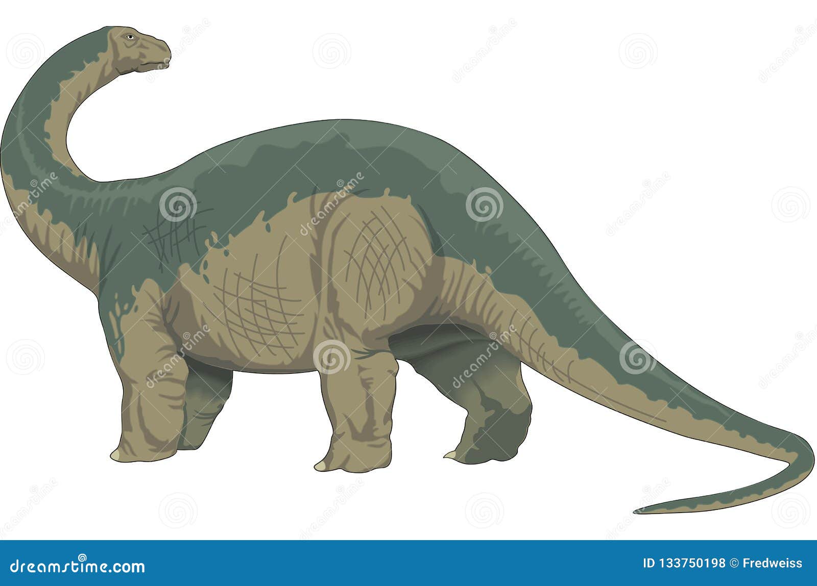 Illustration De Dinosaure De Brontosaure Illustration de Vecteur ...