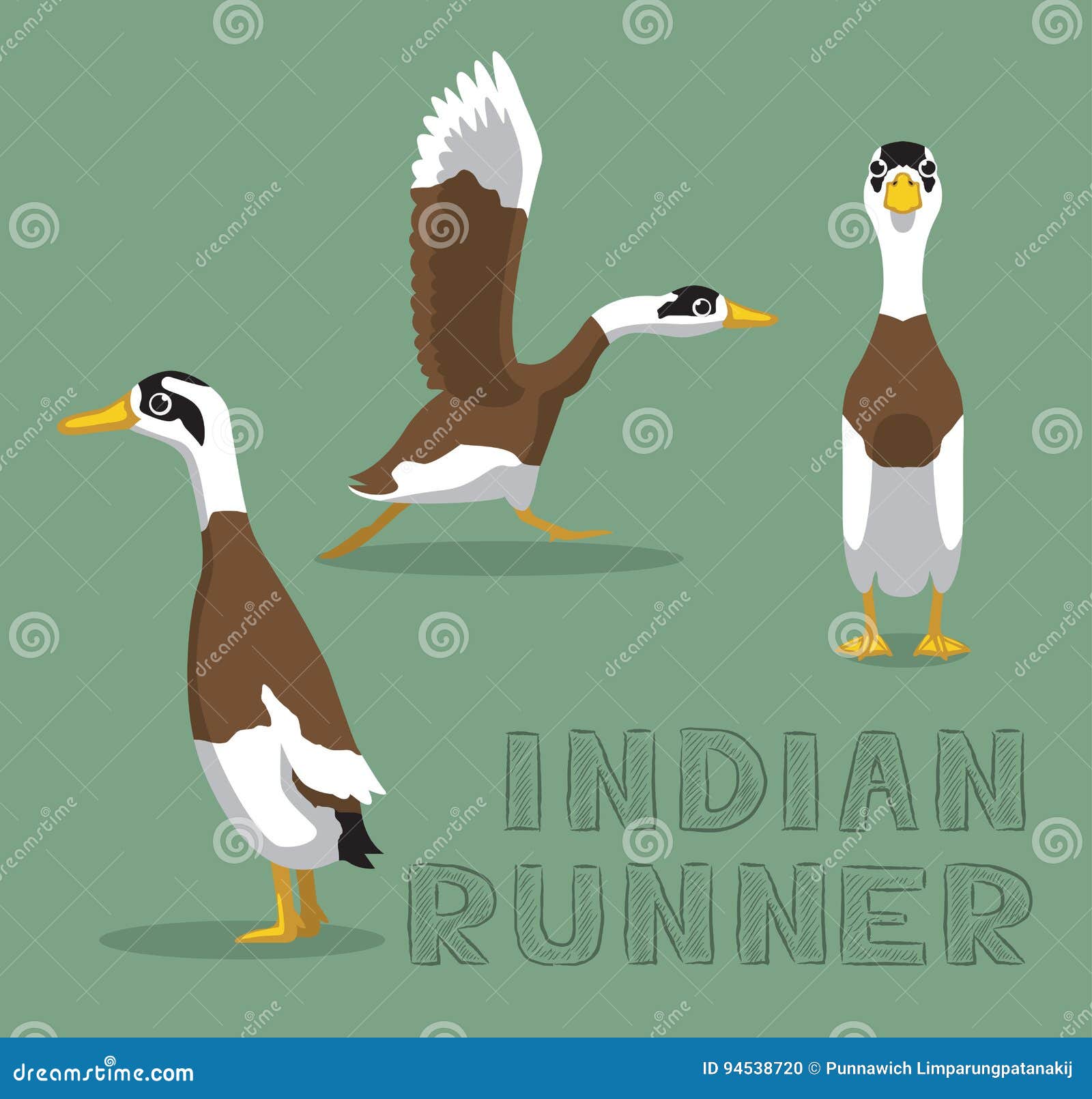 Illustration De Duck Indian Runner Cartoon Vector Illustration de ...