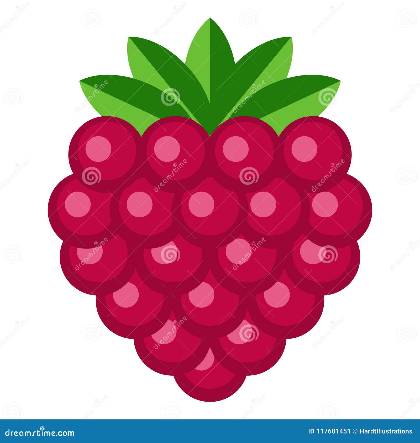 Illustration de framboise illustration de vecteur. Illustration du ...