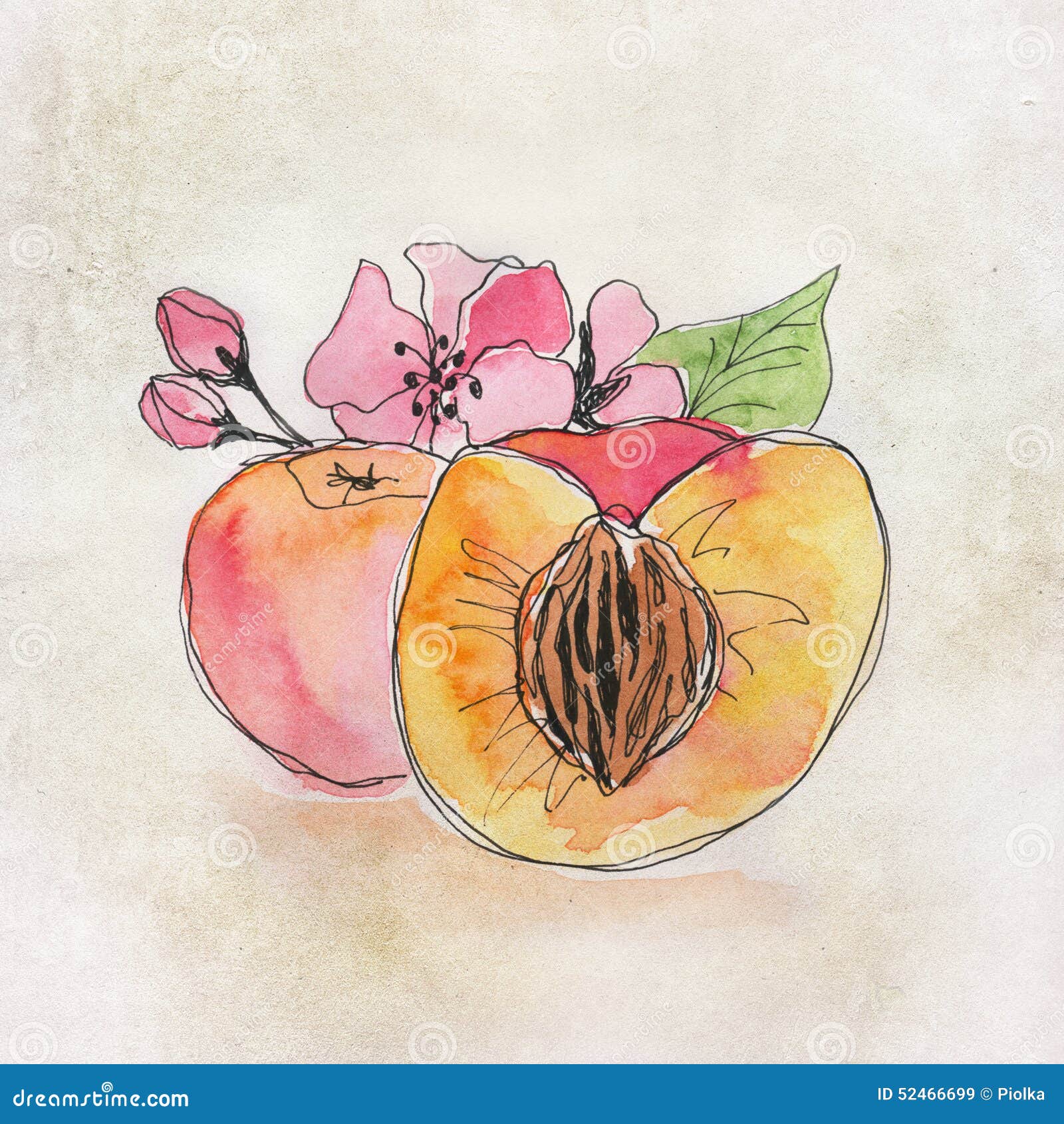 Illustration De Fruit Avec L'aquarelle Illustration Stock ...
