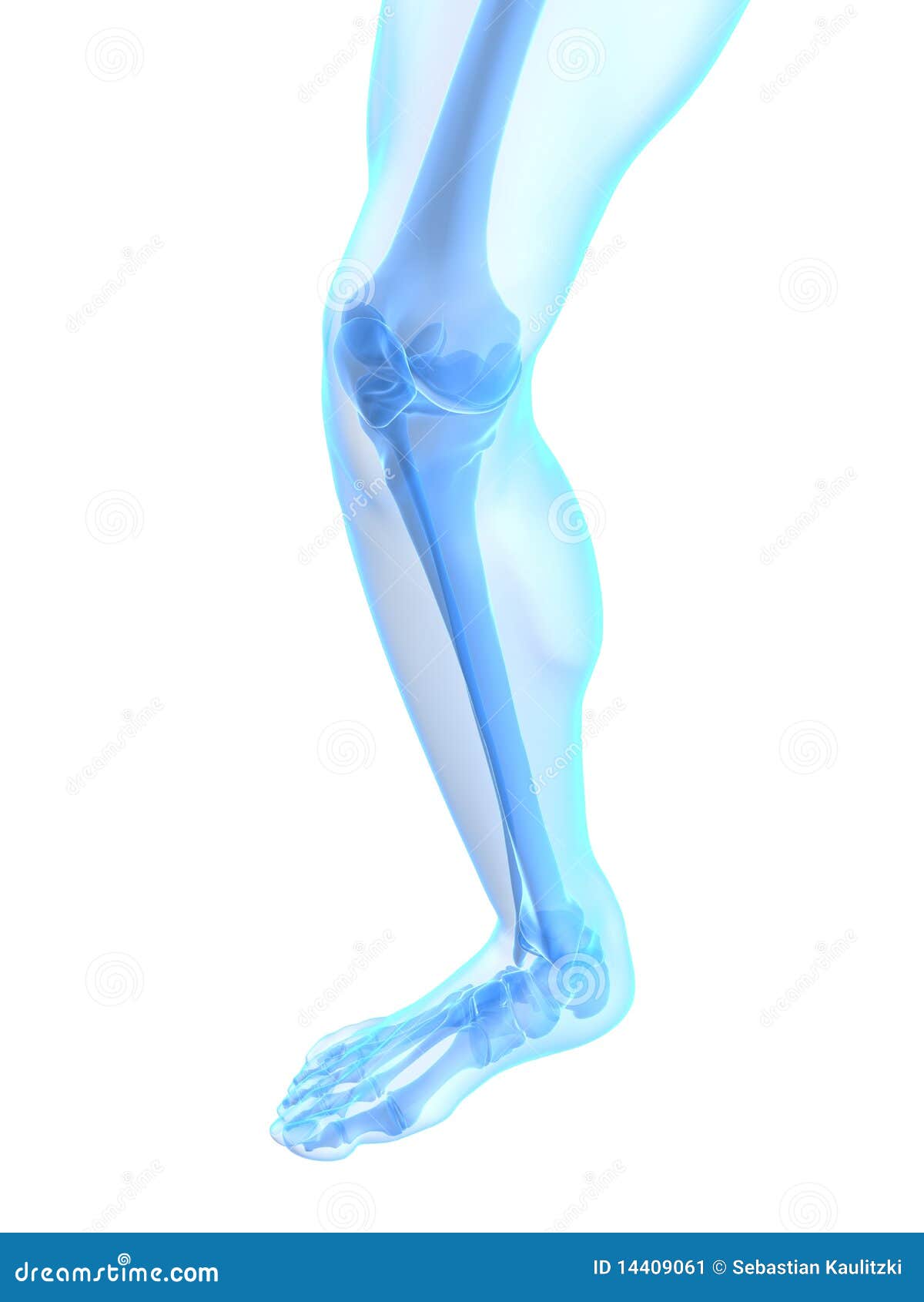 Illustration de genou illustration stock. Illustration du physique ...