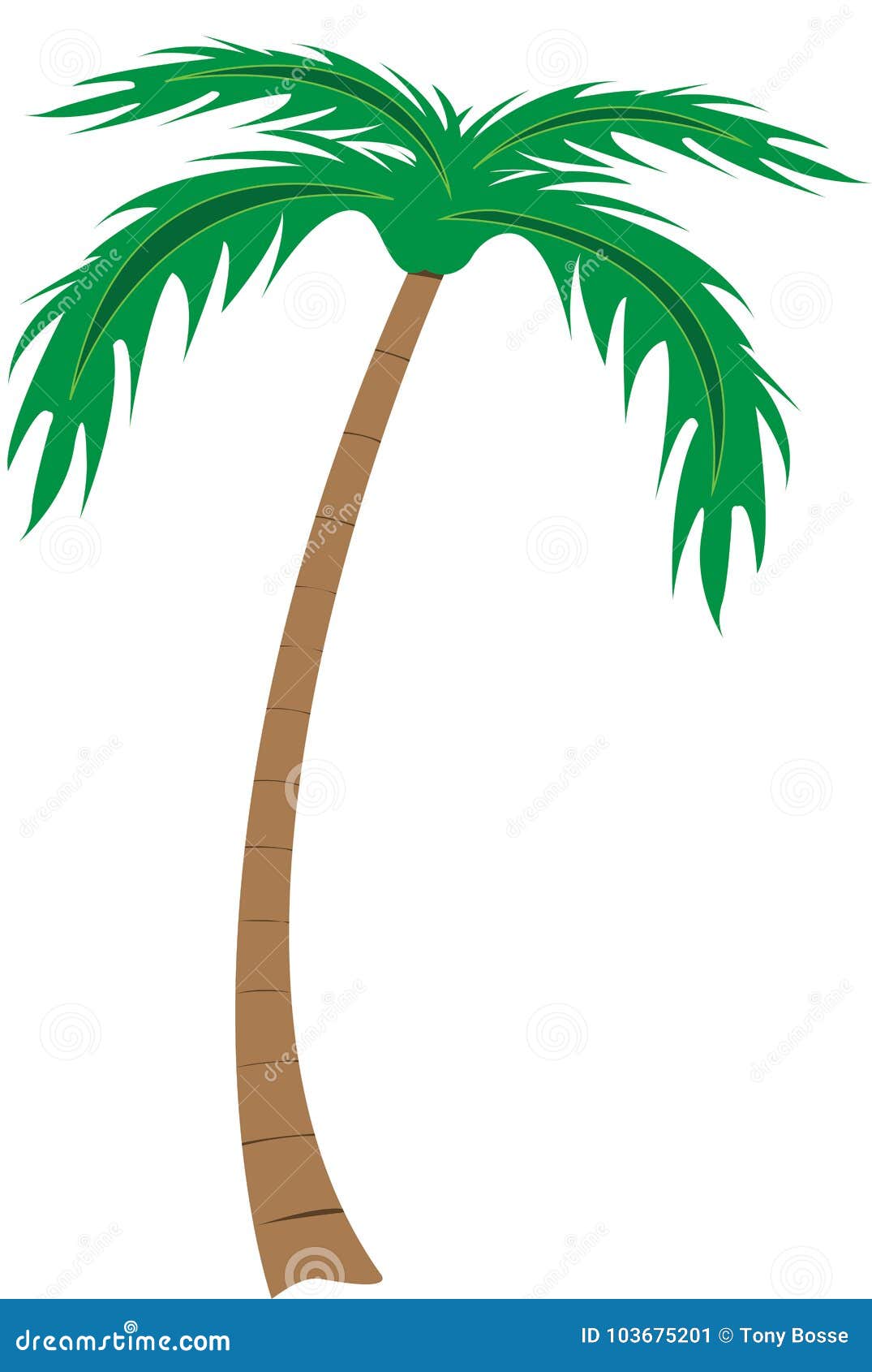 Illustration de palmier illustration de vecteur. Illustration du blanc ...