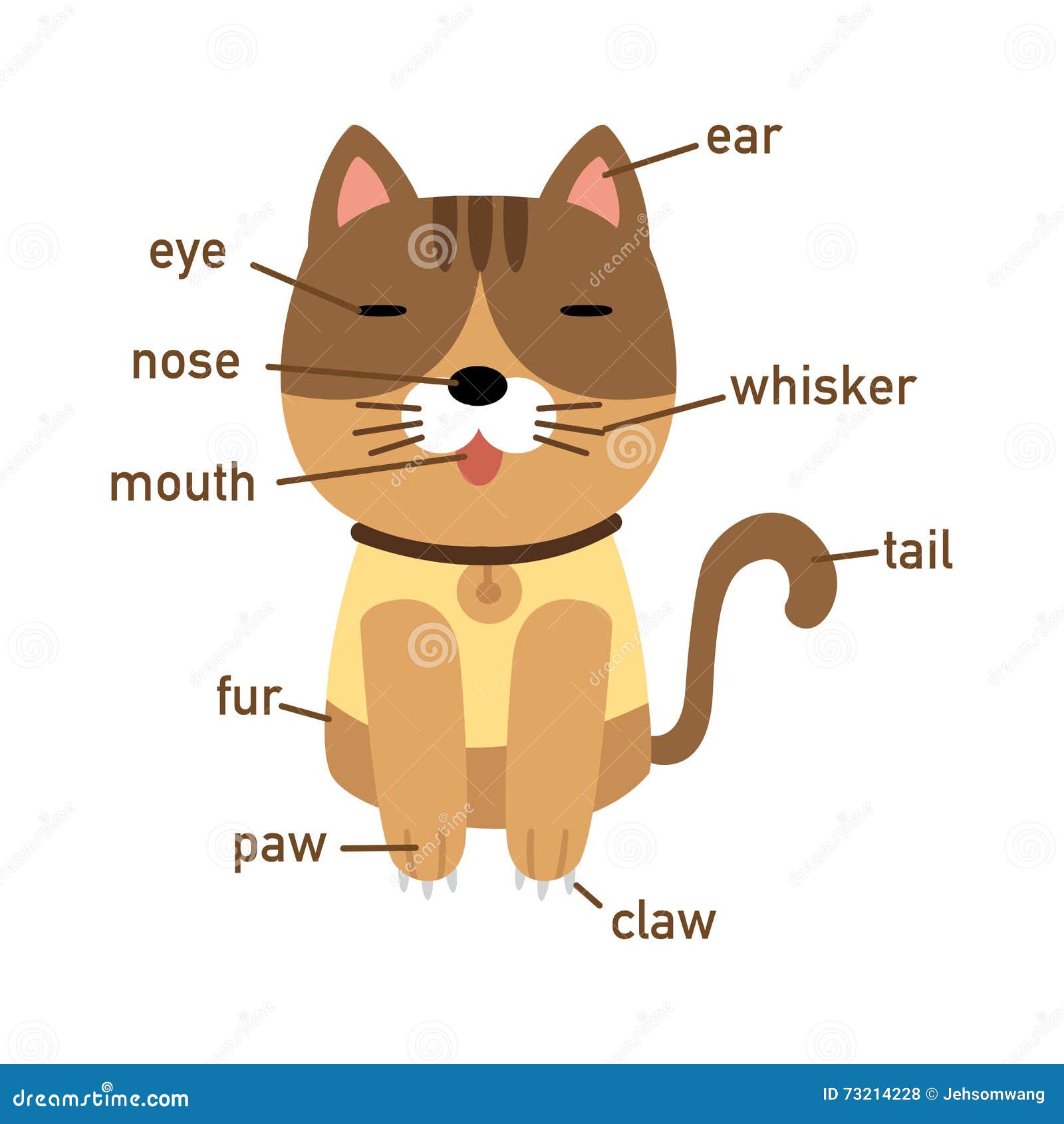 Illustration De Pièce De Vocabulaire De Chat De Corps Illustration de ...