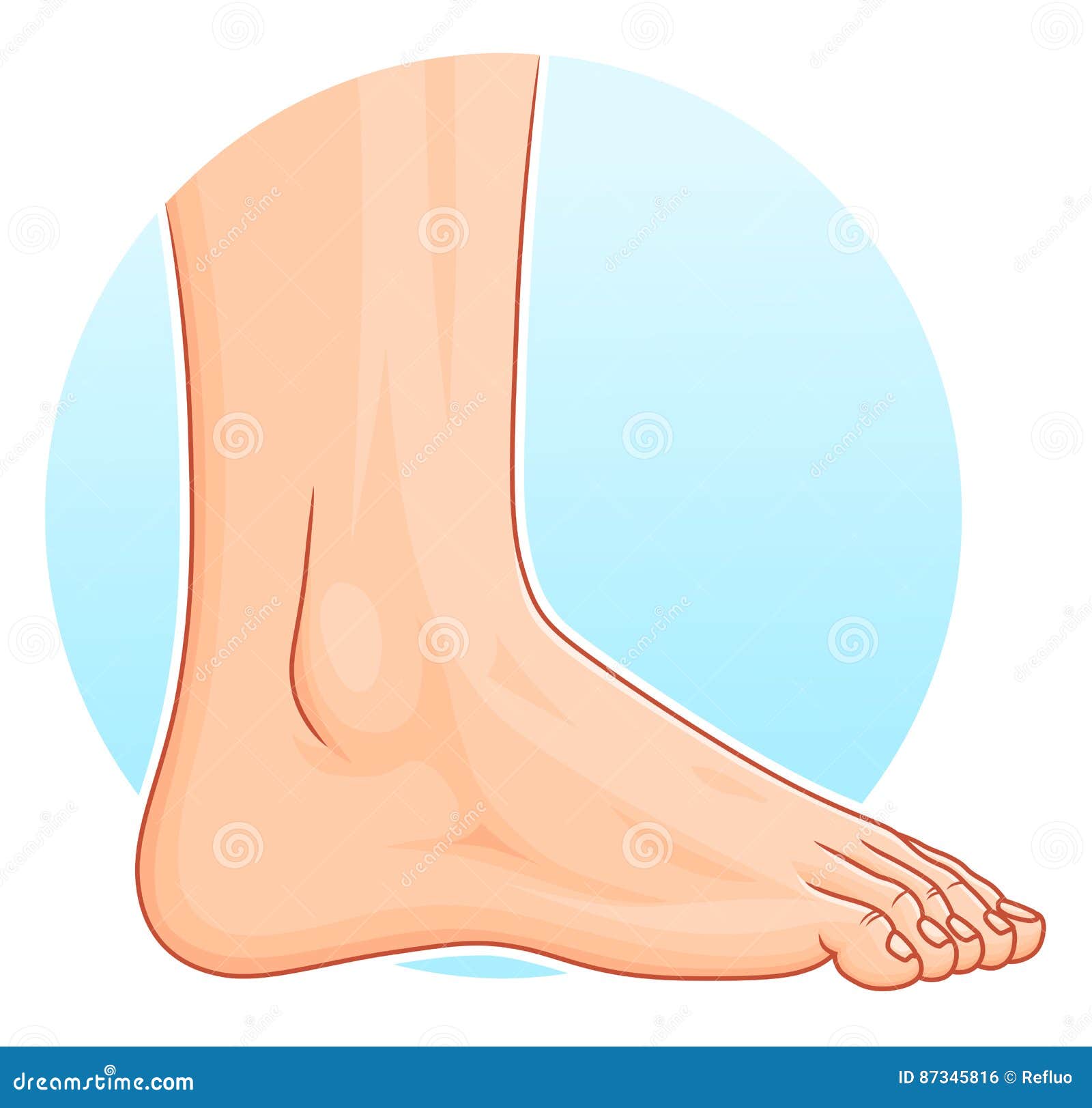 Illustration de pied illustration de vecteur. Illustration du médecine ...