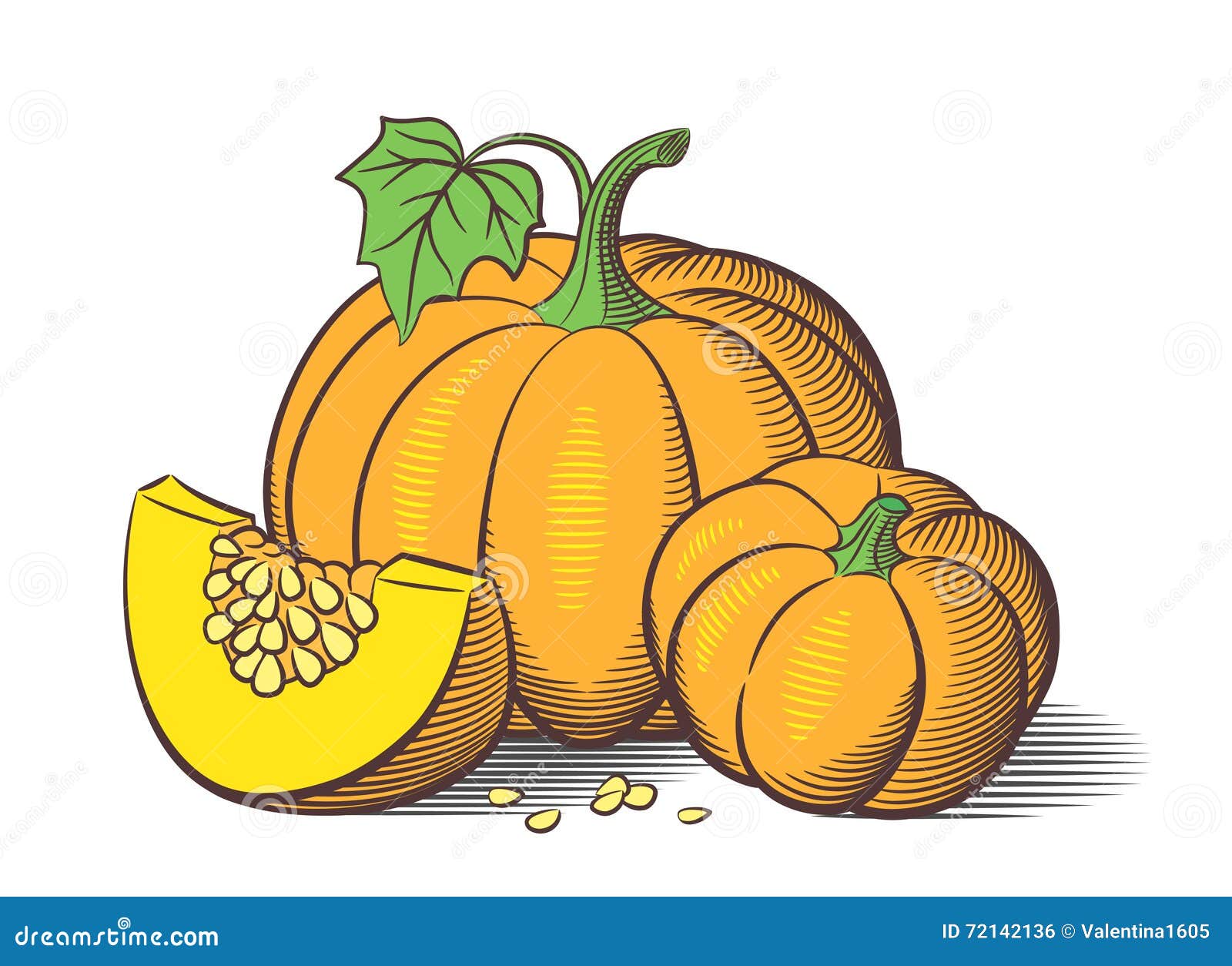 Illustration de potirons illustration de vecteur. Illustration du ...