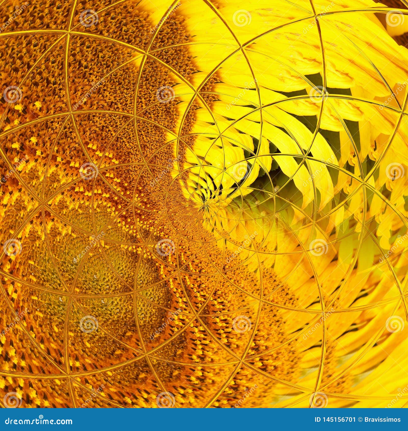 Design Spiral Symmetry Illustration Geometric. Geometry Illustration ...