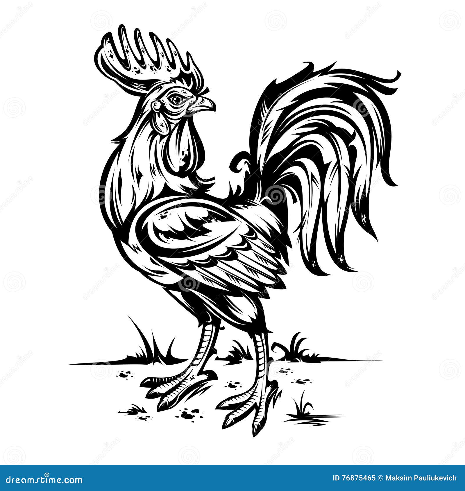 Illustration De Vecteur D'un Coq Illustration de Vecteur - Illustration ...