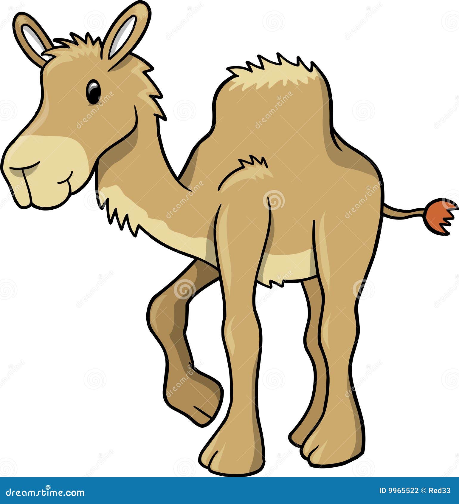 Illustration De Vecteur De Chameau Illustration de Vecteur ...