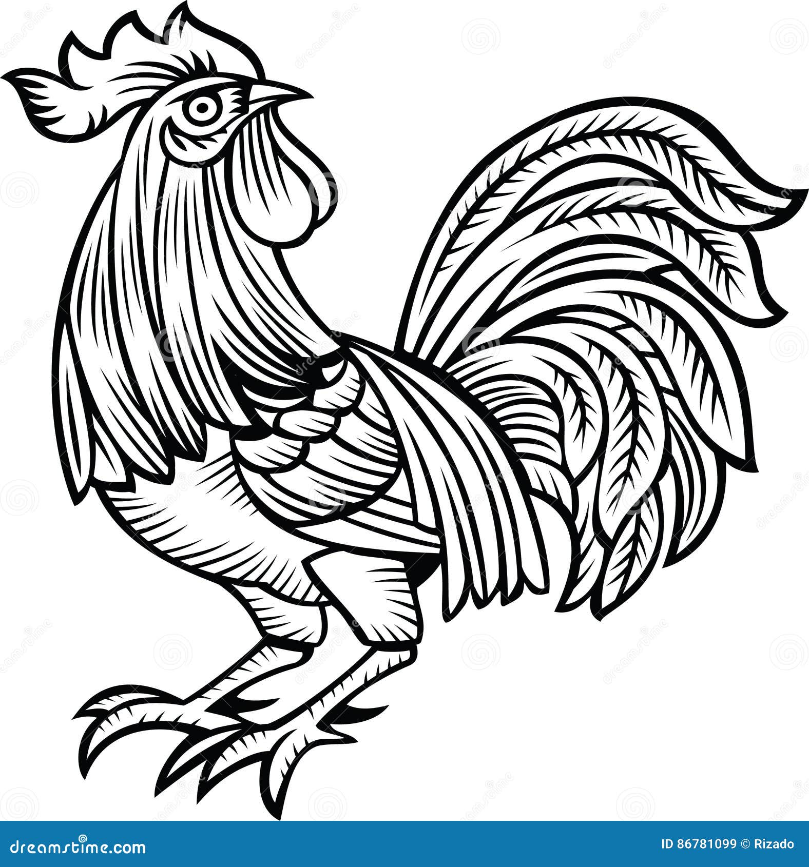 Illustration De Vecteur De Coq Illustration de Vecteur - Illustration ...