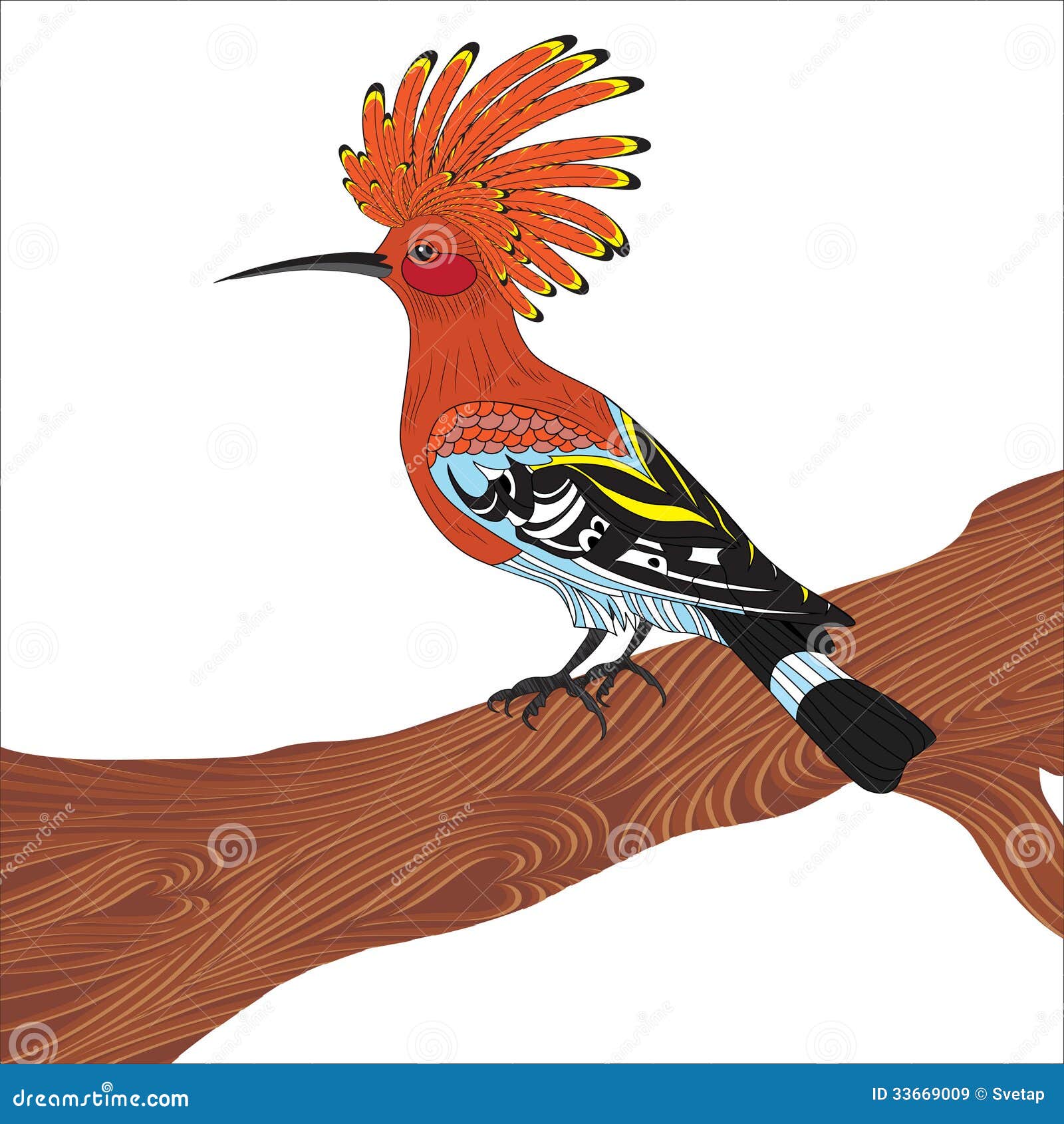 Illustration De Vecteur De Huppe D'oiseau, Illustration de Vecteur ...