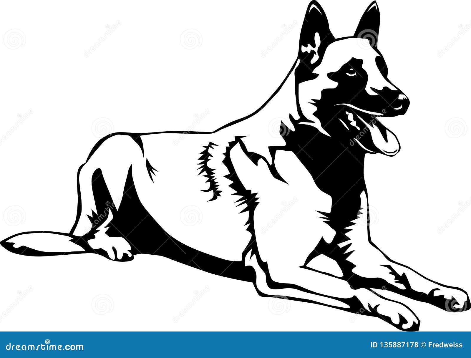 Illustration De Vecteur De Malinois De Belge Illustration de Vecteur ...