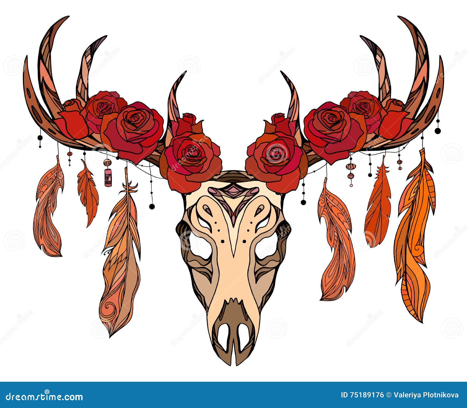 Illustration of a Deer Skull with Roses, Feathers Stock Vector ...