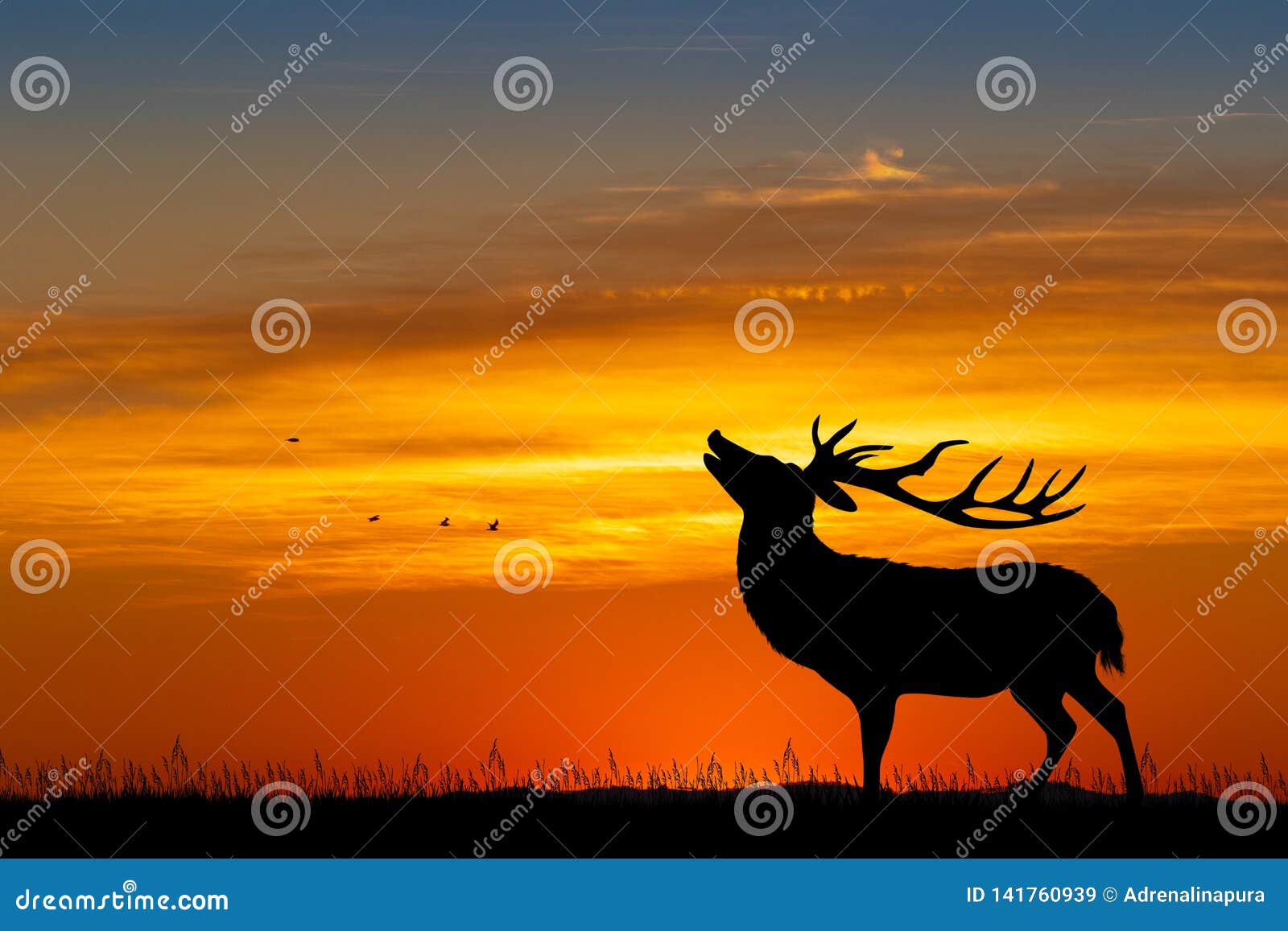 Deer at sunset stock illustration. Illustration of horns - 141760939