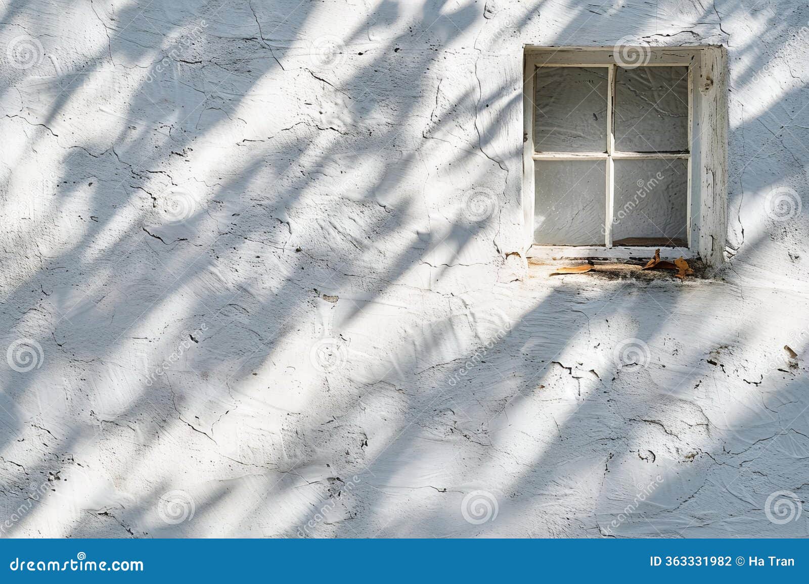 Depicting a Abstract White Background with Shadows from Window on Wall ...