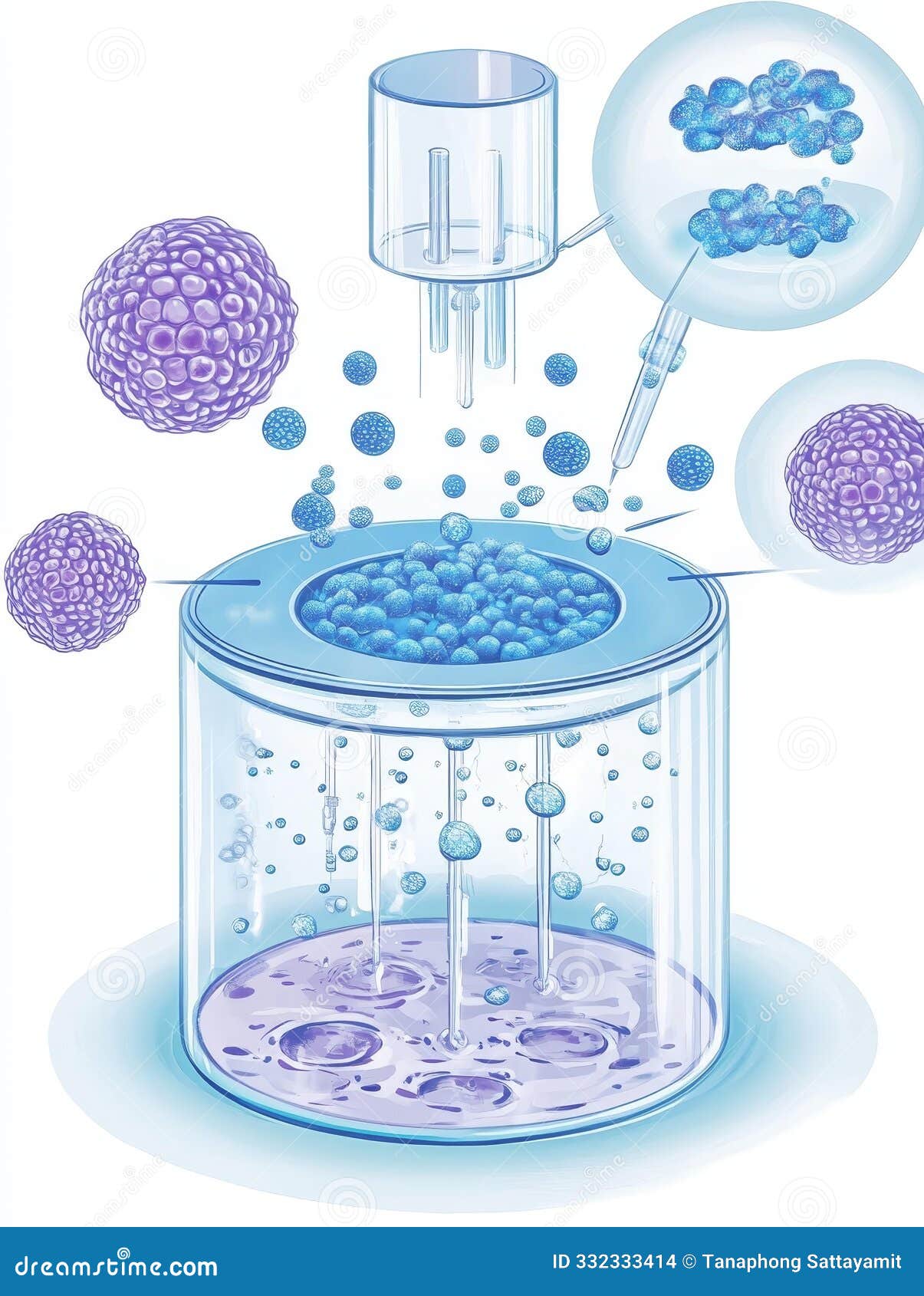 Illustration Depicting The Process Of Cell Isolation And Purification ... Illustration Depicting The Process Of Cell Isolation And Purification ...