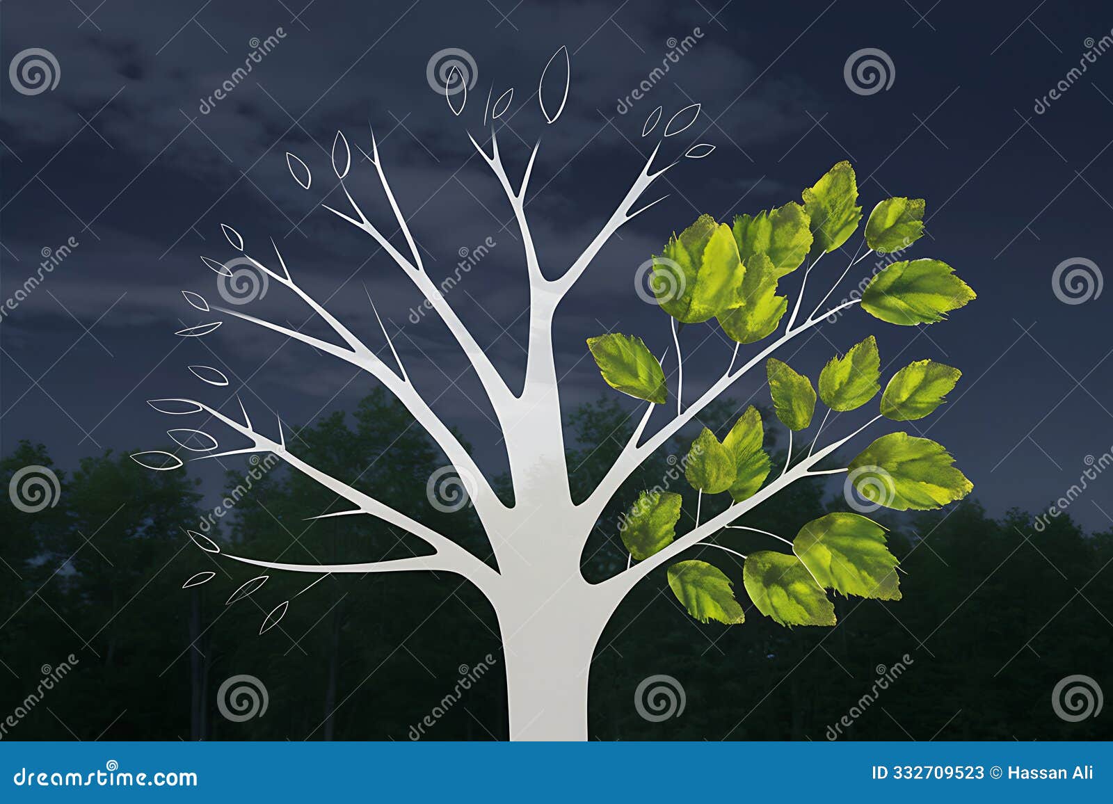 "Duality of Nature: a Tree in Contrast Stock Illustration ...