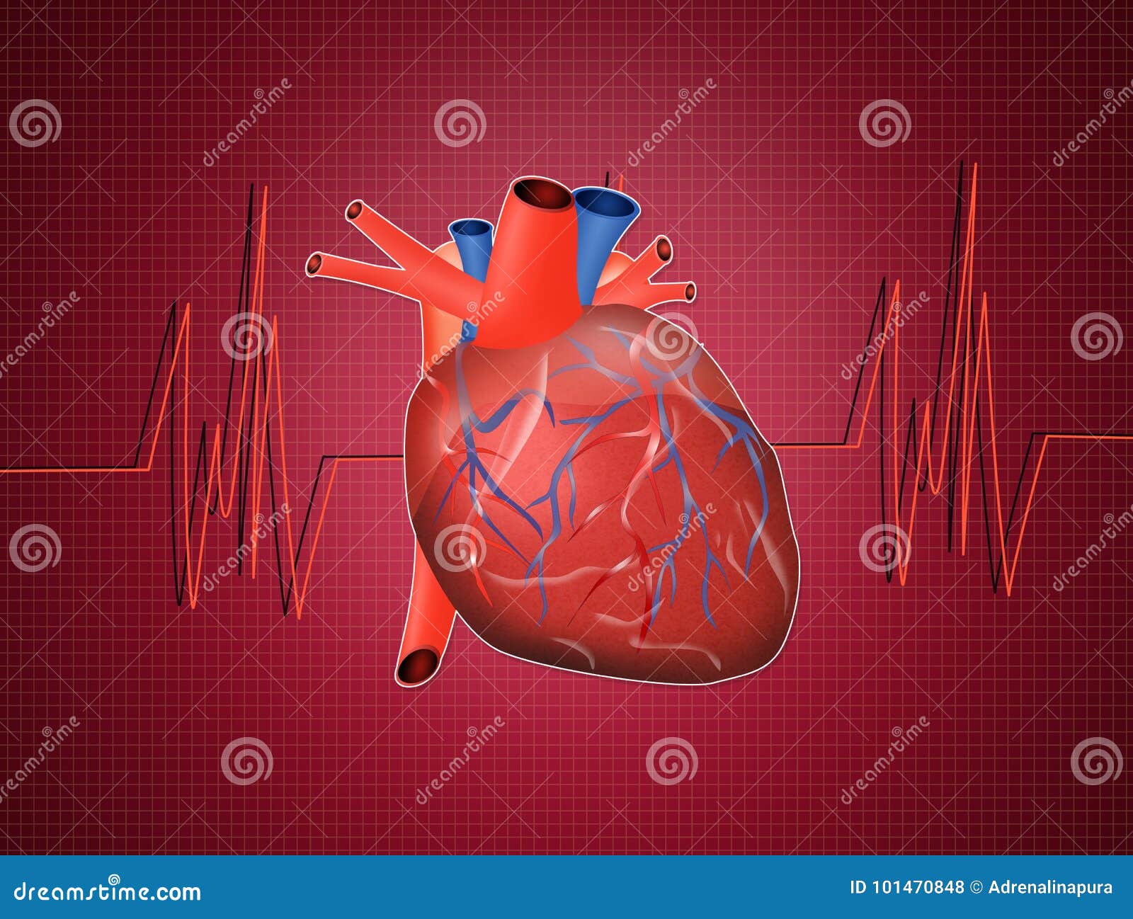 Illustration Des Elektrokardiogramms Stock Abbildung - Illustration von ...