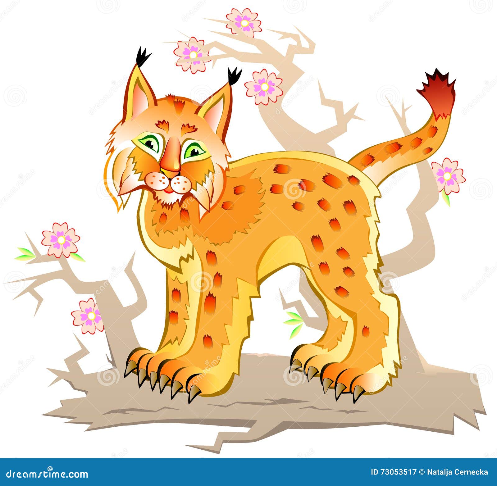 Illustration Des Kleinen Luchses Vektor Abbildung - Illustration von ...