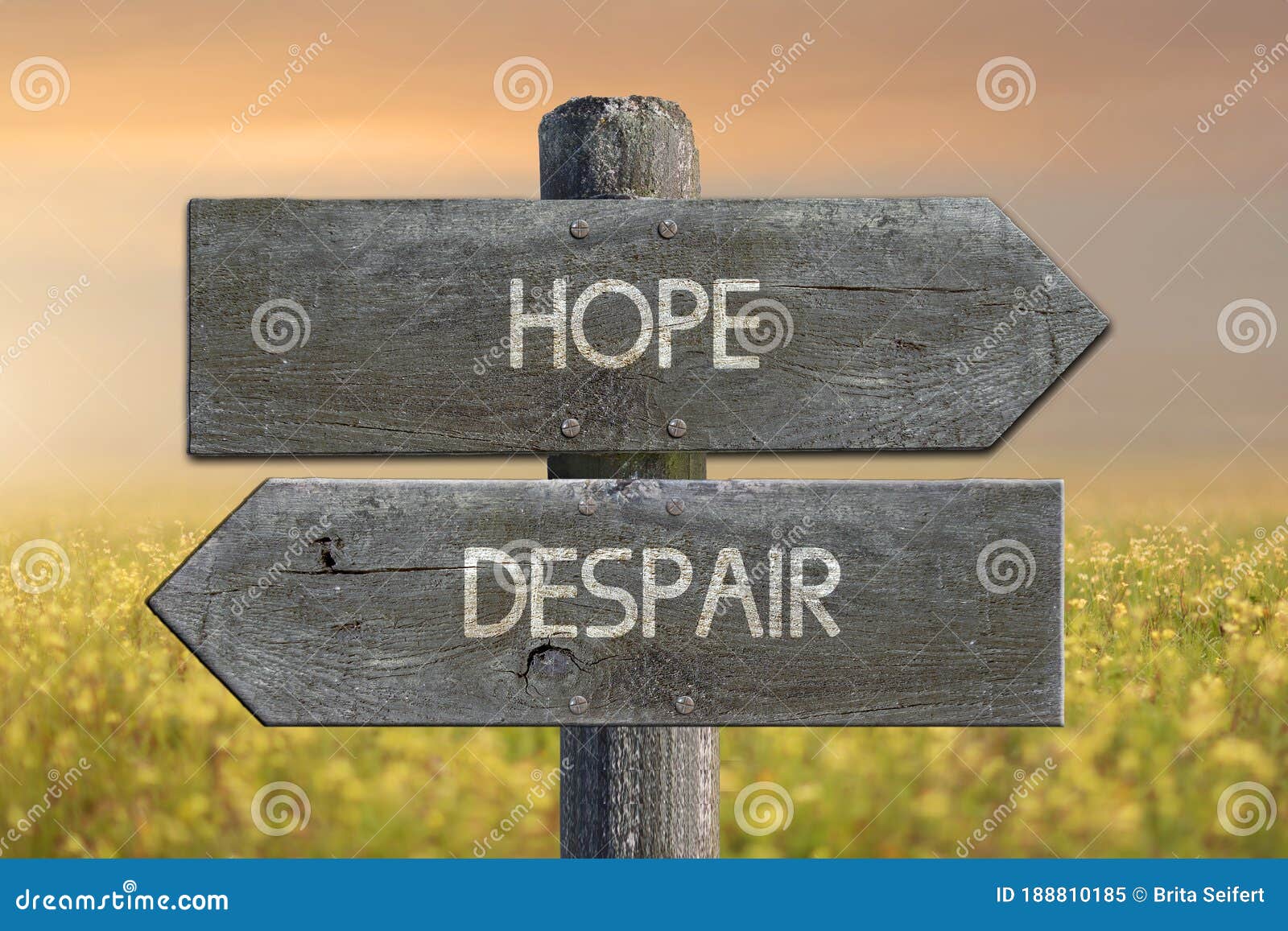 Despair Or Hope As A Choice In Life - Pictured As Words Despair, Hope ...