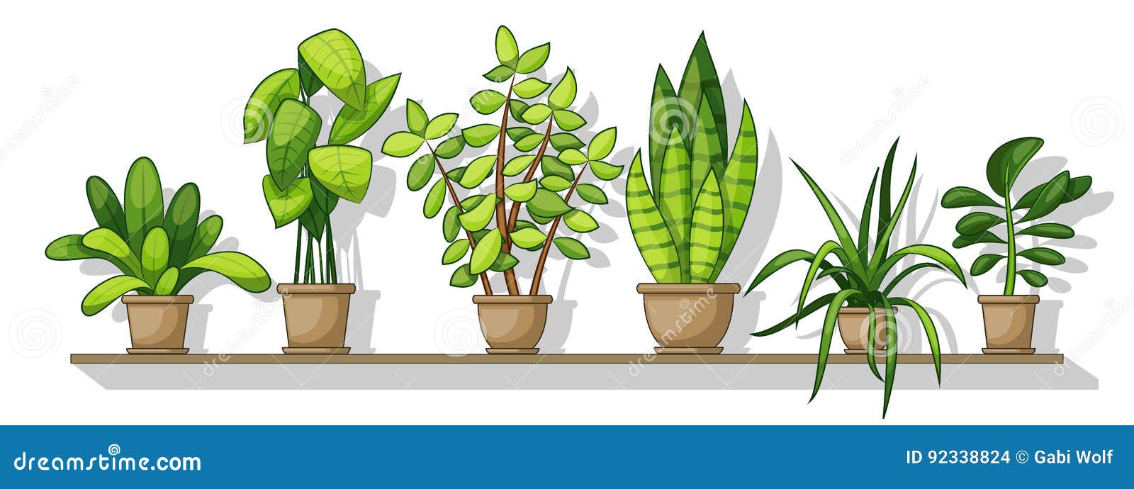 Illustration of Different House Plants on a Shelf Stock Vector ...