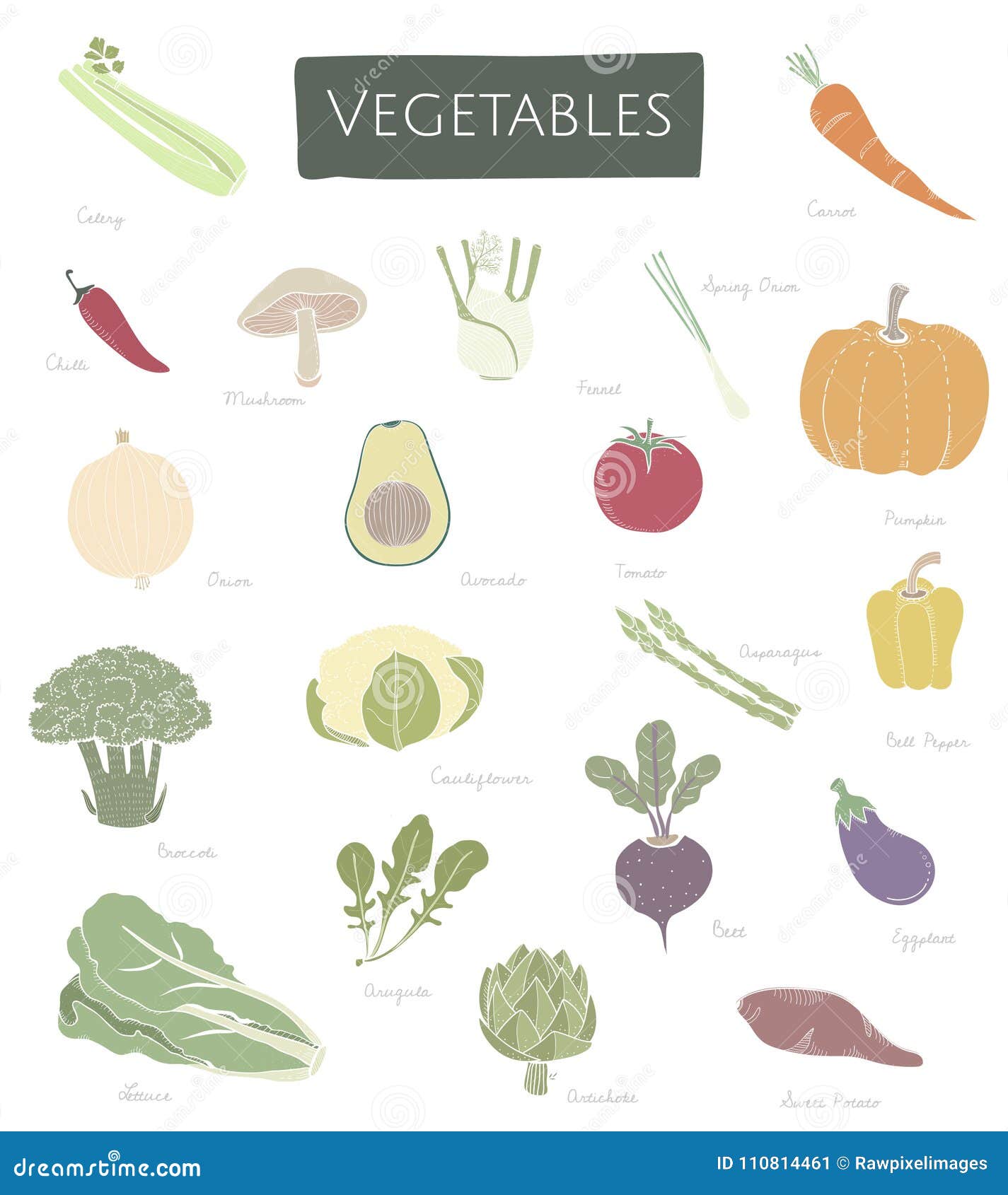 Illustration of Different Kinds of Vegetables Stock Illustration ...