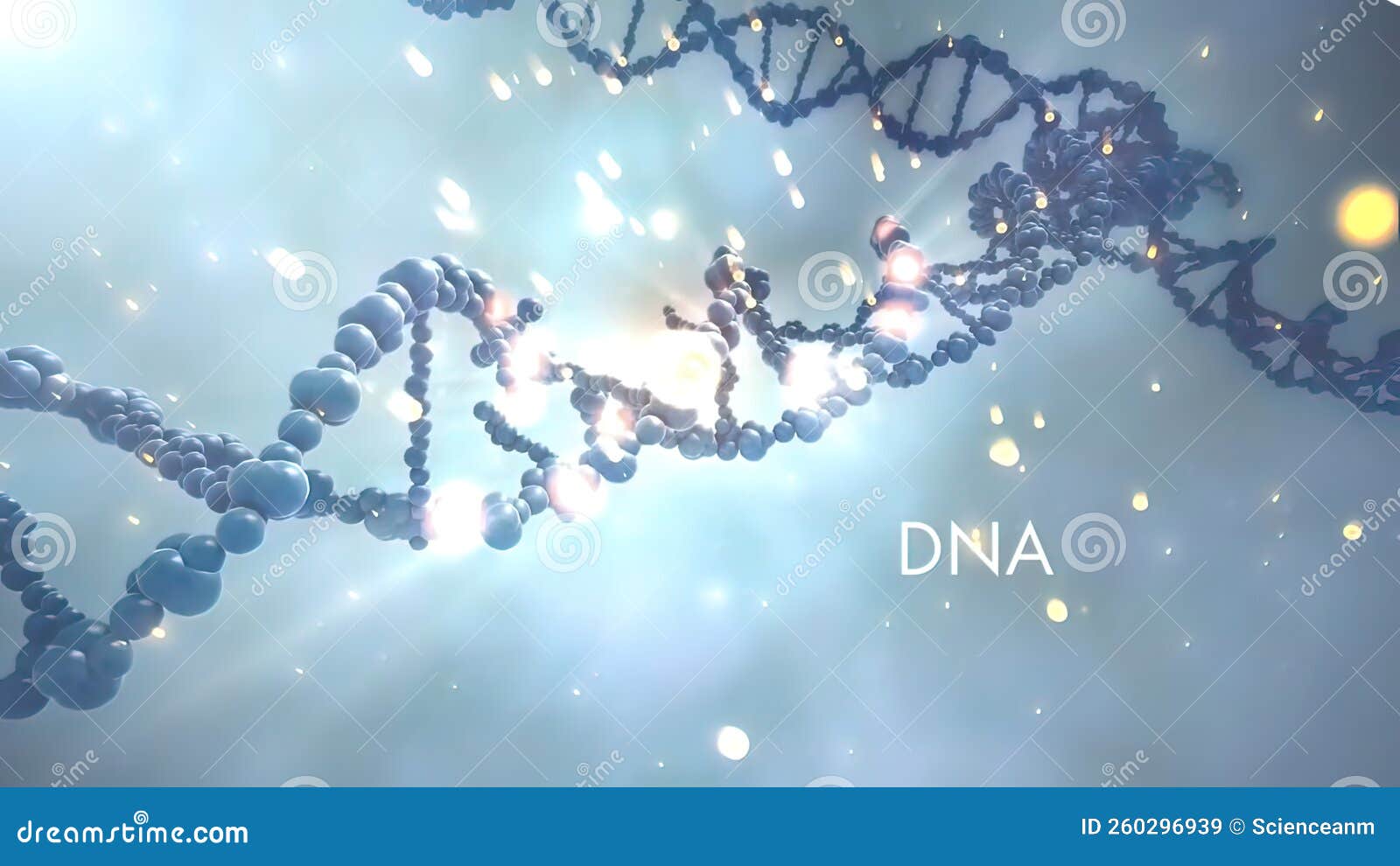 Illustration DNA Molecules with Antiparallel Structure Stock ...