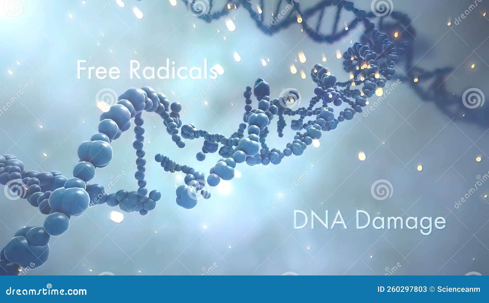 Illustration DNA Molecules with Antiparallel Structure Stock ...