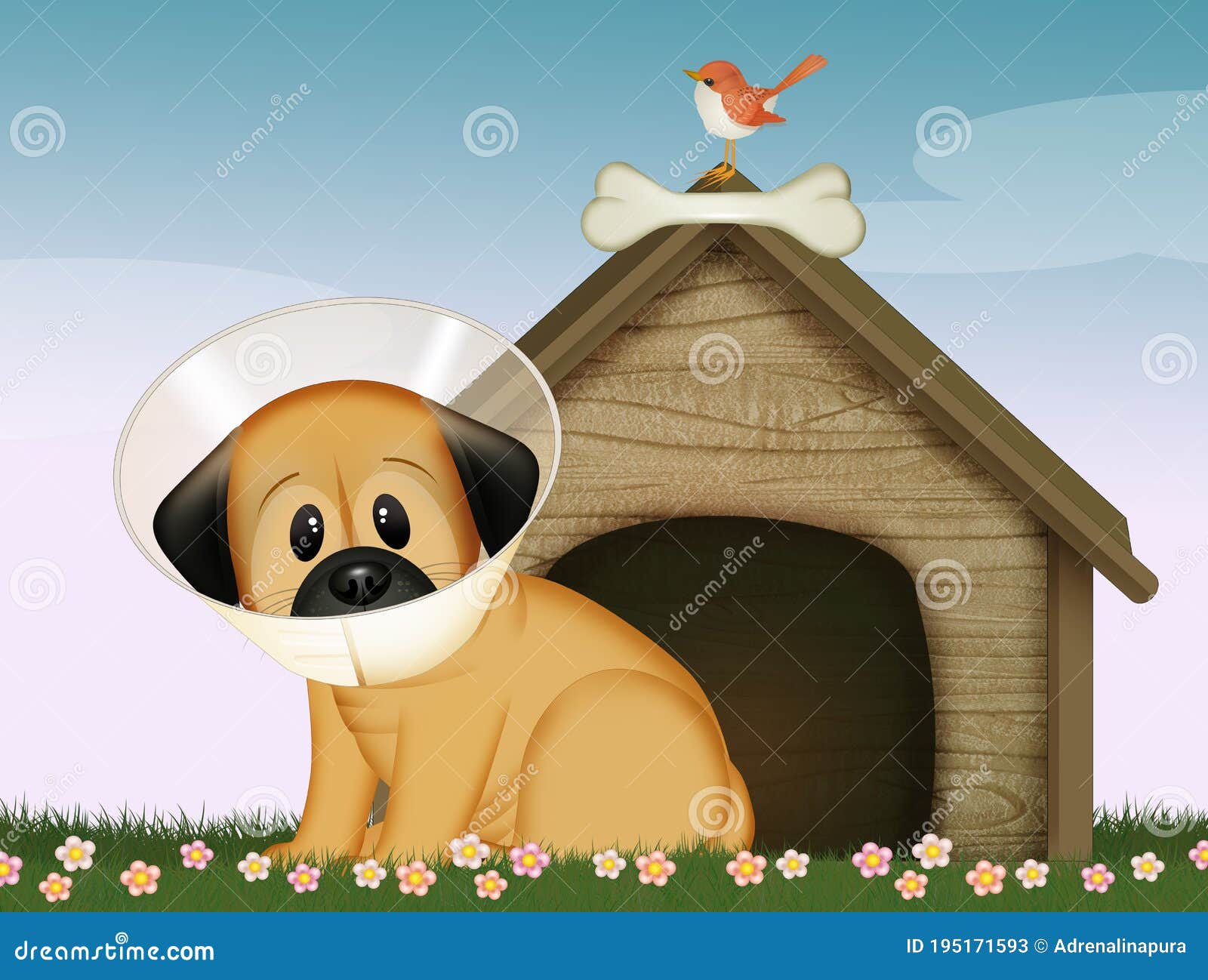 Illustration of Dog with Cone Stock Illustration - Illustration of ...