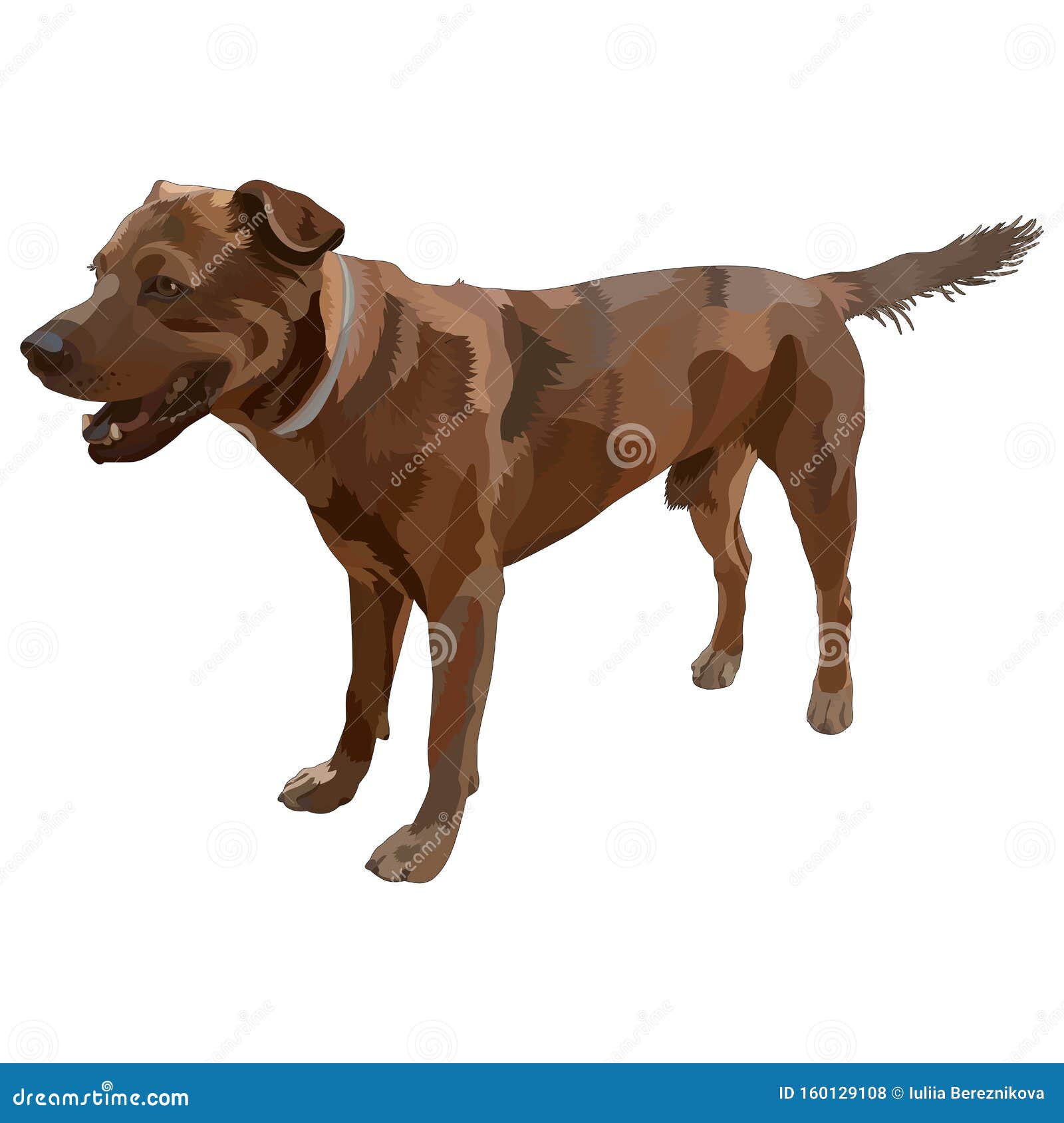 Plott Hound stock vector. Illustration of pointer, print - 160129108