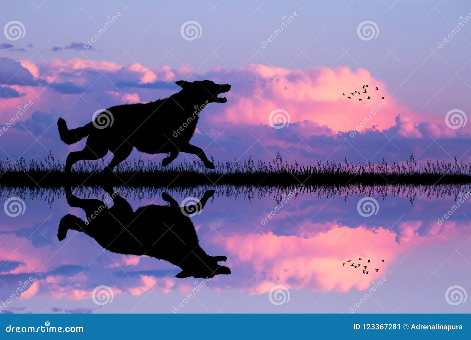 Dog runing at sunset stock illustration. Illustration of river - 123367281