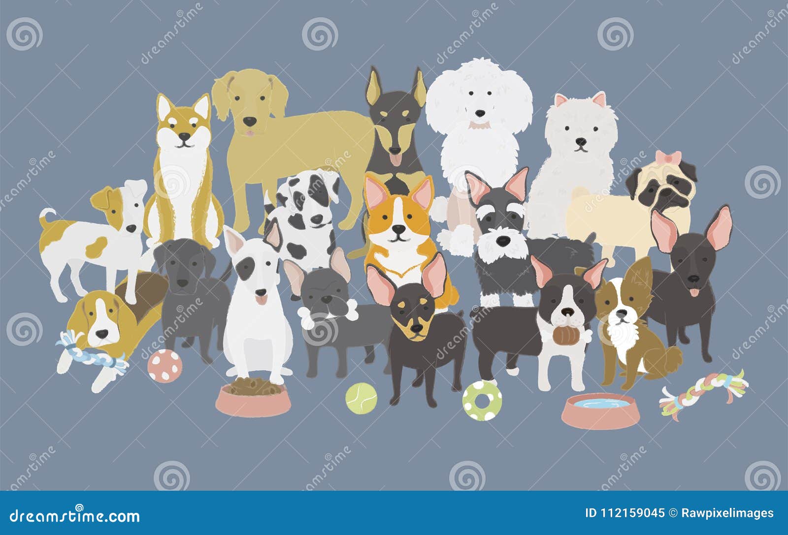Illustration of Dogs Breed Collection Stock Illustration - Illustration ...