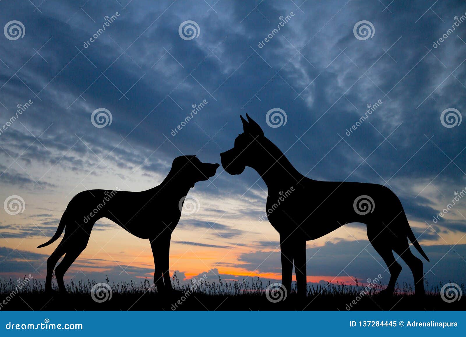 Illustration of dogs sniff stock illustration. Illustration of cute ...