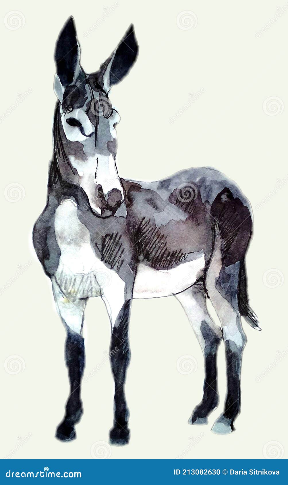 The Donkey Is Made Up Of Particles. The Donkey Consists Of Dots And ...